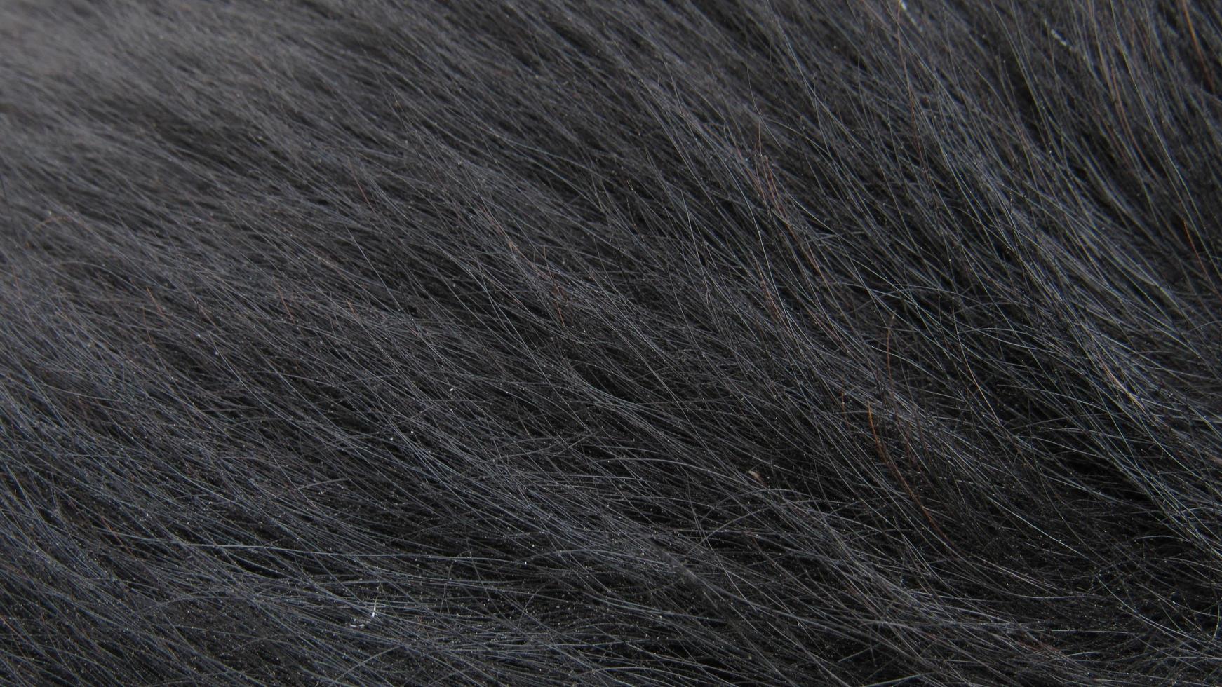 fur texture. close up of fur. fur background 6907464 Stock Photo at ...