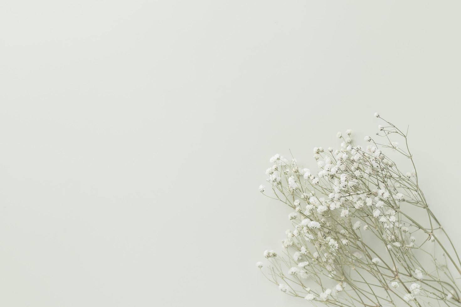 Minimal Flower Background Stock Photos, Images and Backgrounds for Free ...