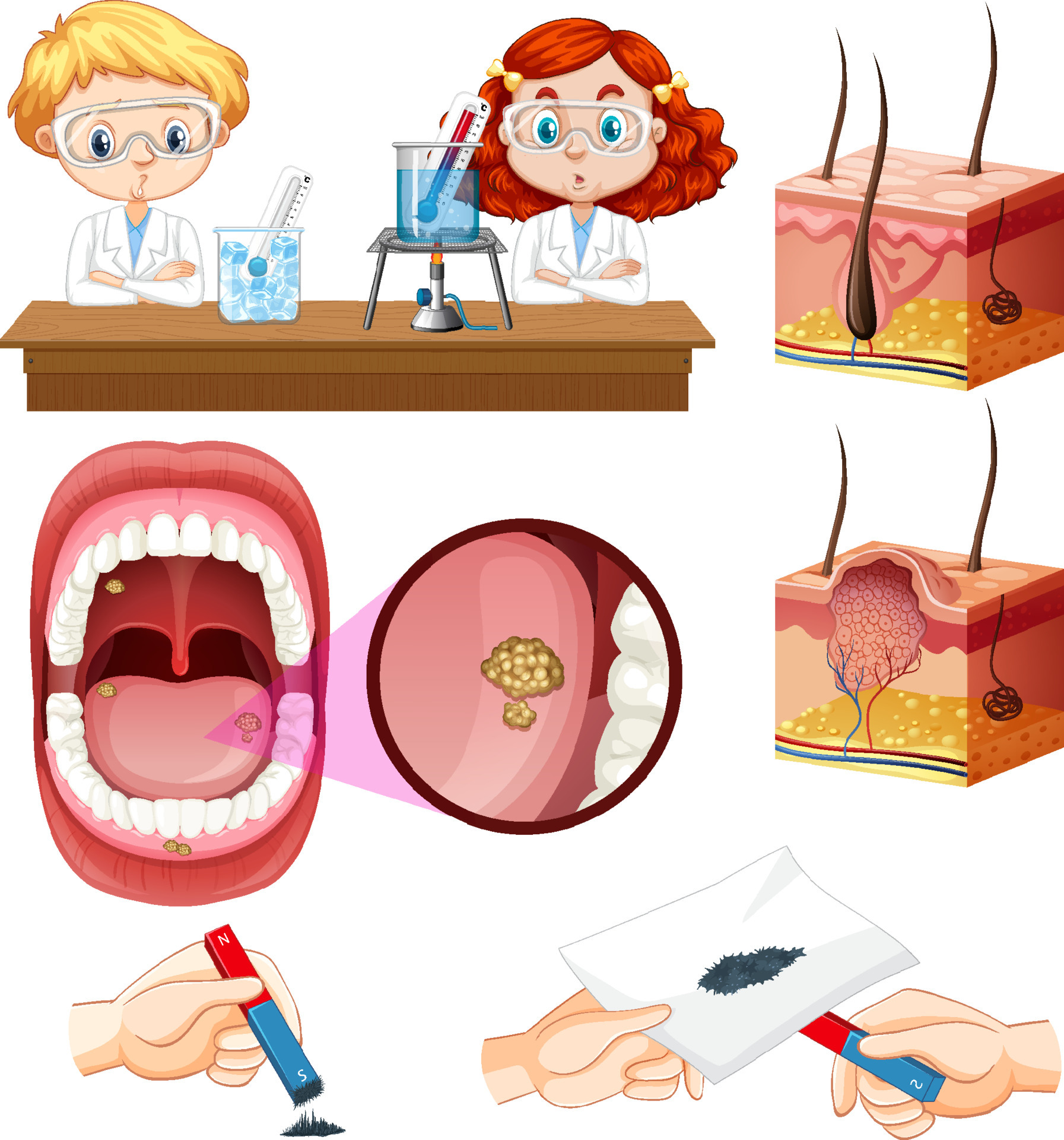 Set Of Equipment Needed For Science Experiment 6981252 Vector Art At set-of-equipment-needed-for-science-experiment-6981252-vector-art-at