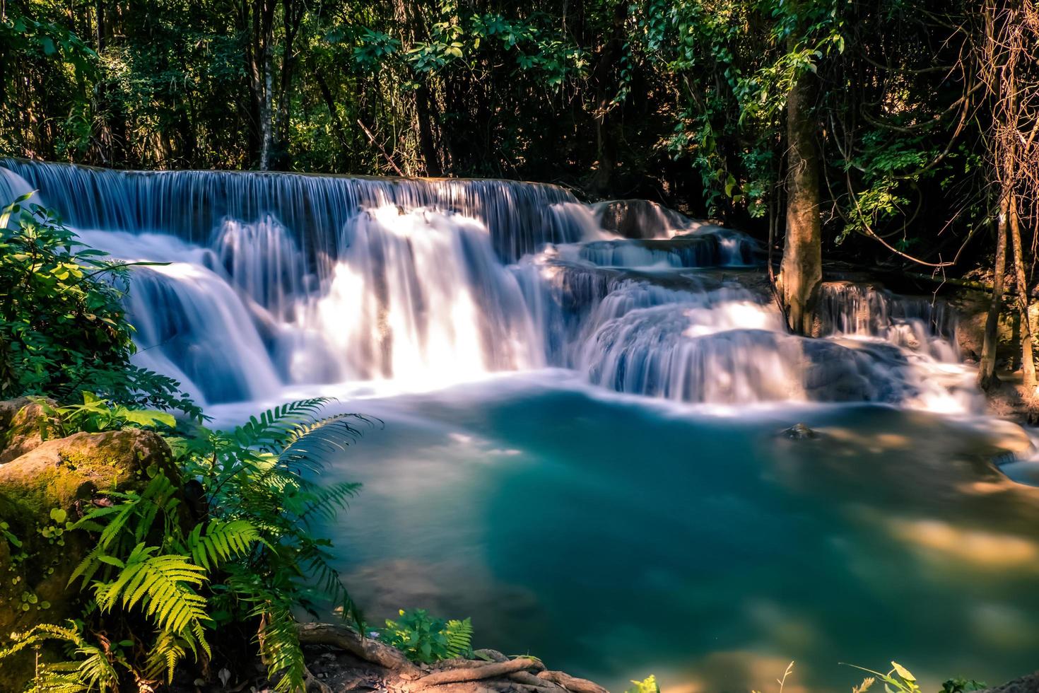 Tropical Rainforest Waterfalls Wallpaper