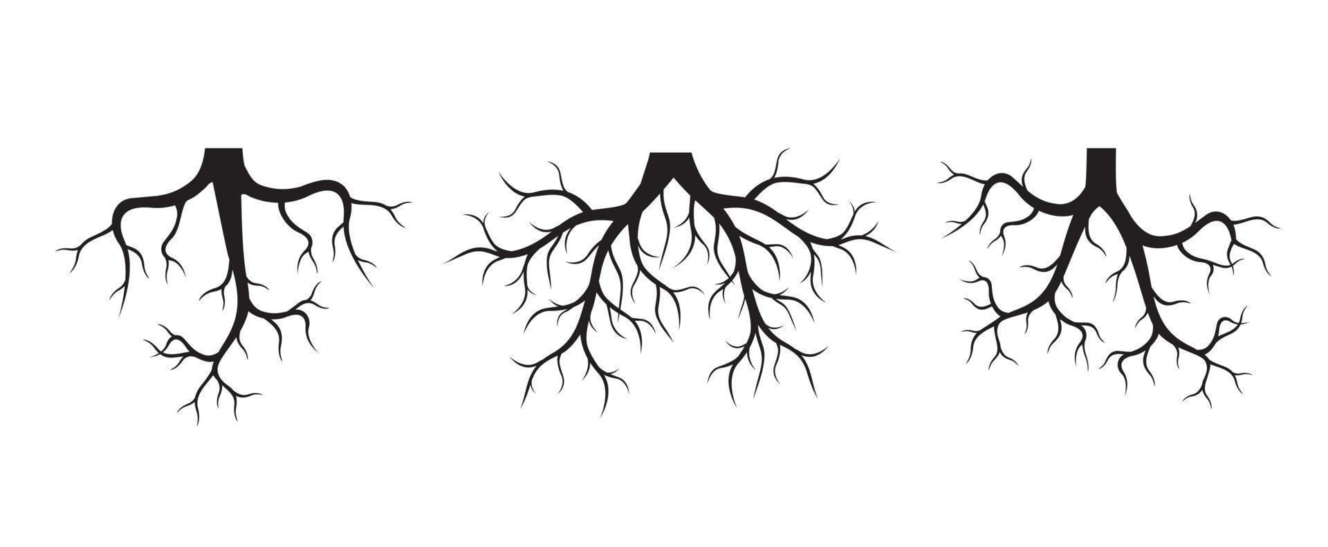 Set of Tree Roots. Vector outline Illustration. Plant in Garden ... Set of Tree Roots. Vector outline Illustration. Plant in Garden ...
