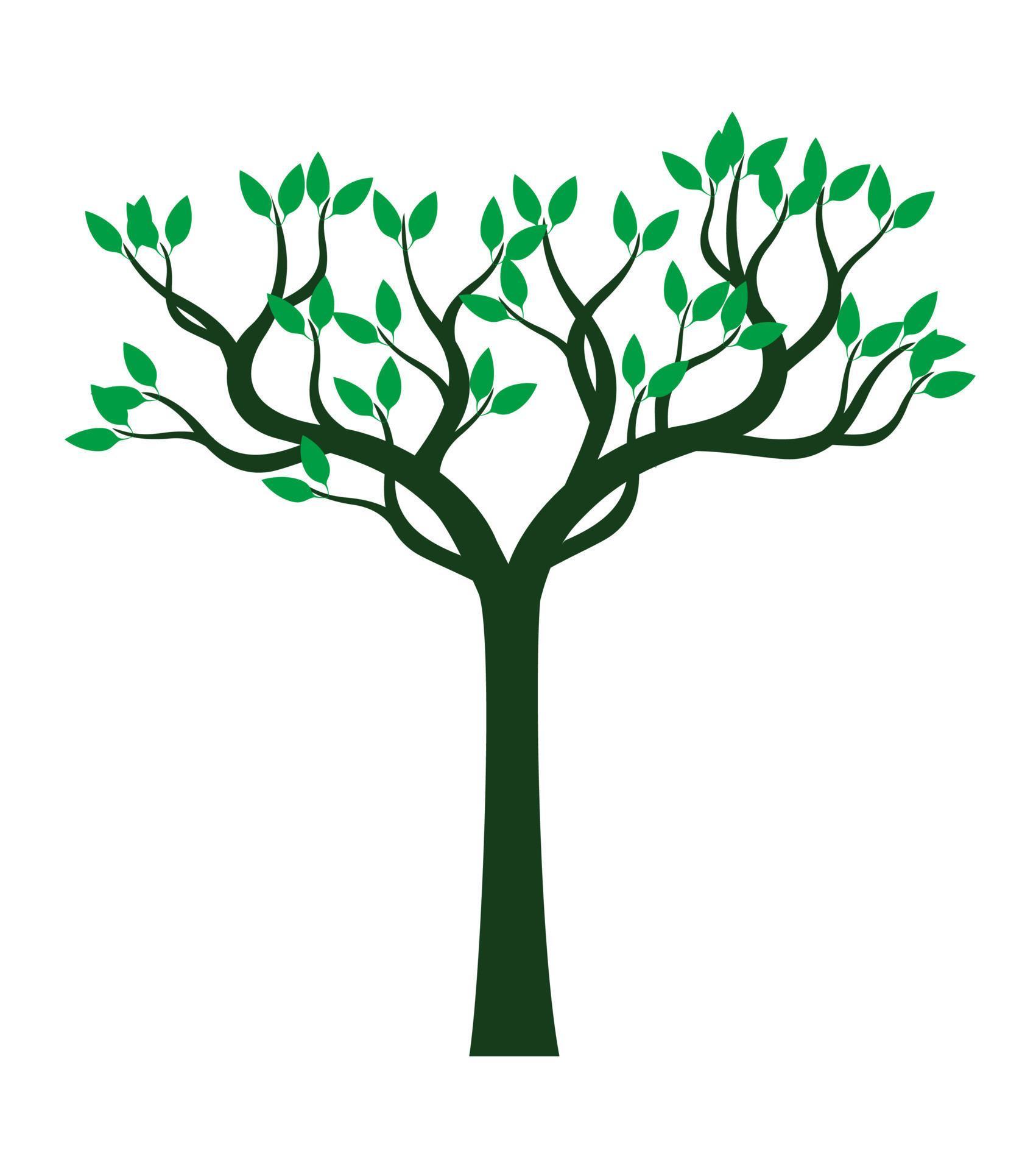 Breen spring Tree. Vector Illustration. 6999045 Vector Art at Vecteezy