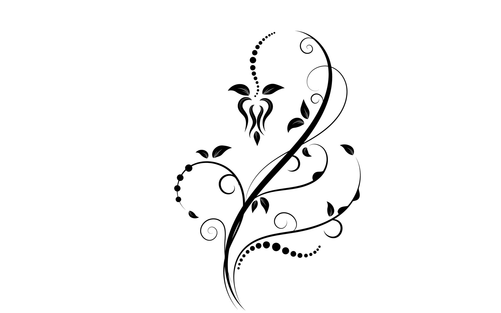 Floral Elements Design, Luxury Ornamental Graphic Element Border
