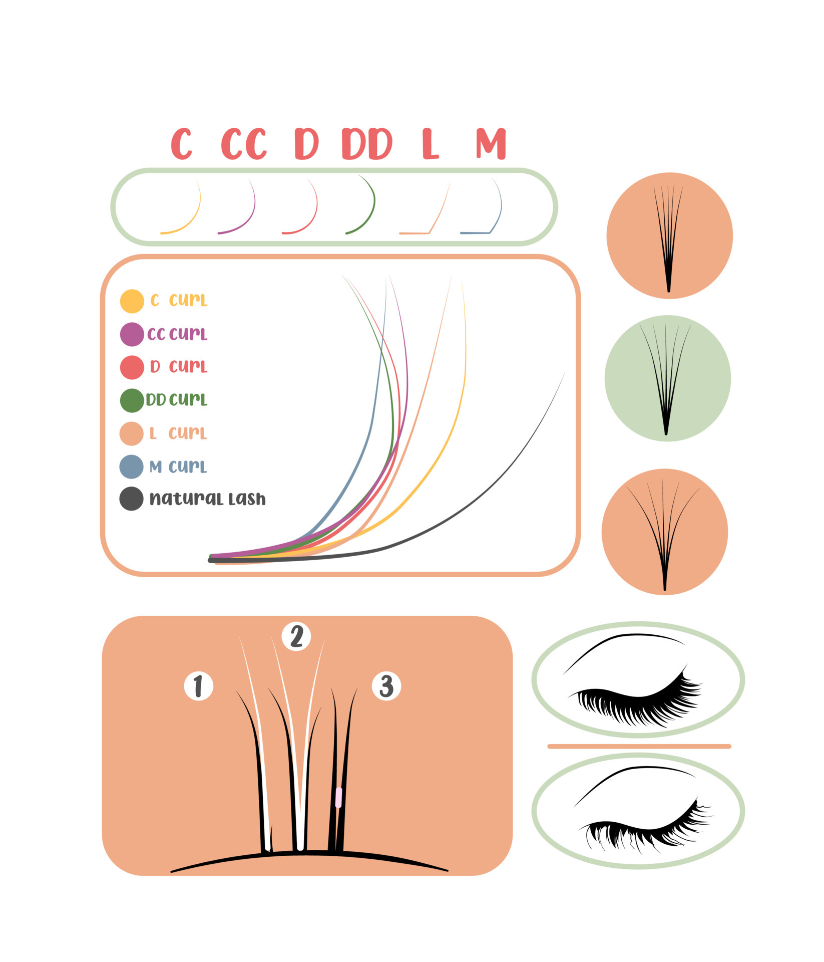 Eyelash Extension Training Poster Tips And Tricks For Eyelash
