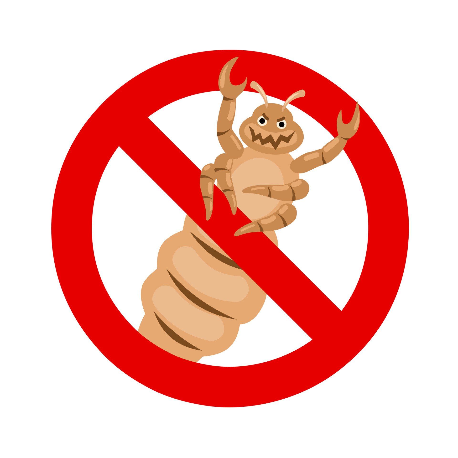 Anti lice sign, with head lice or Pediculus humanus capitis cartoon ... Anti lice sign, with head lice or Pediculus humanus capitis cartoon ...