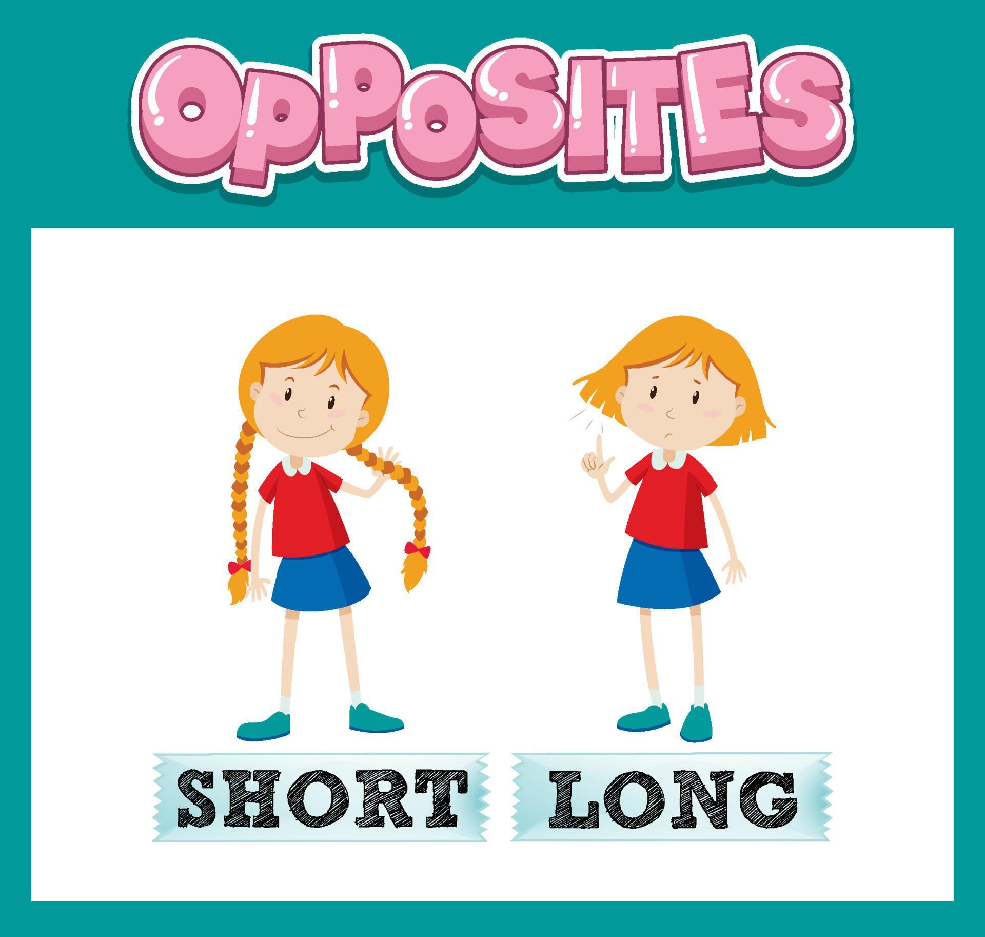 Opposite English words with short and long 7190395 Vector Art at Vecteezy