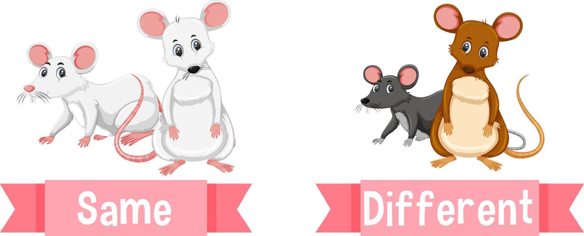 Opposite words for same and different 7207972 Vector Art at Vecteezy