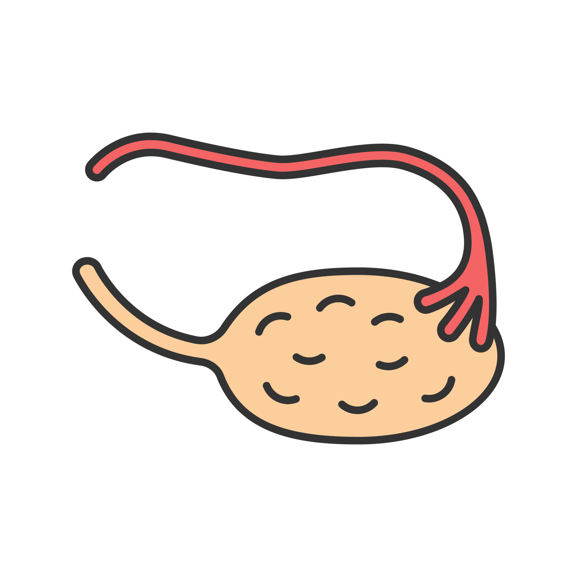 Ovary And Fallopian Tube Color Icon Female Reproductive System