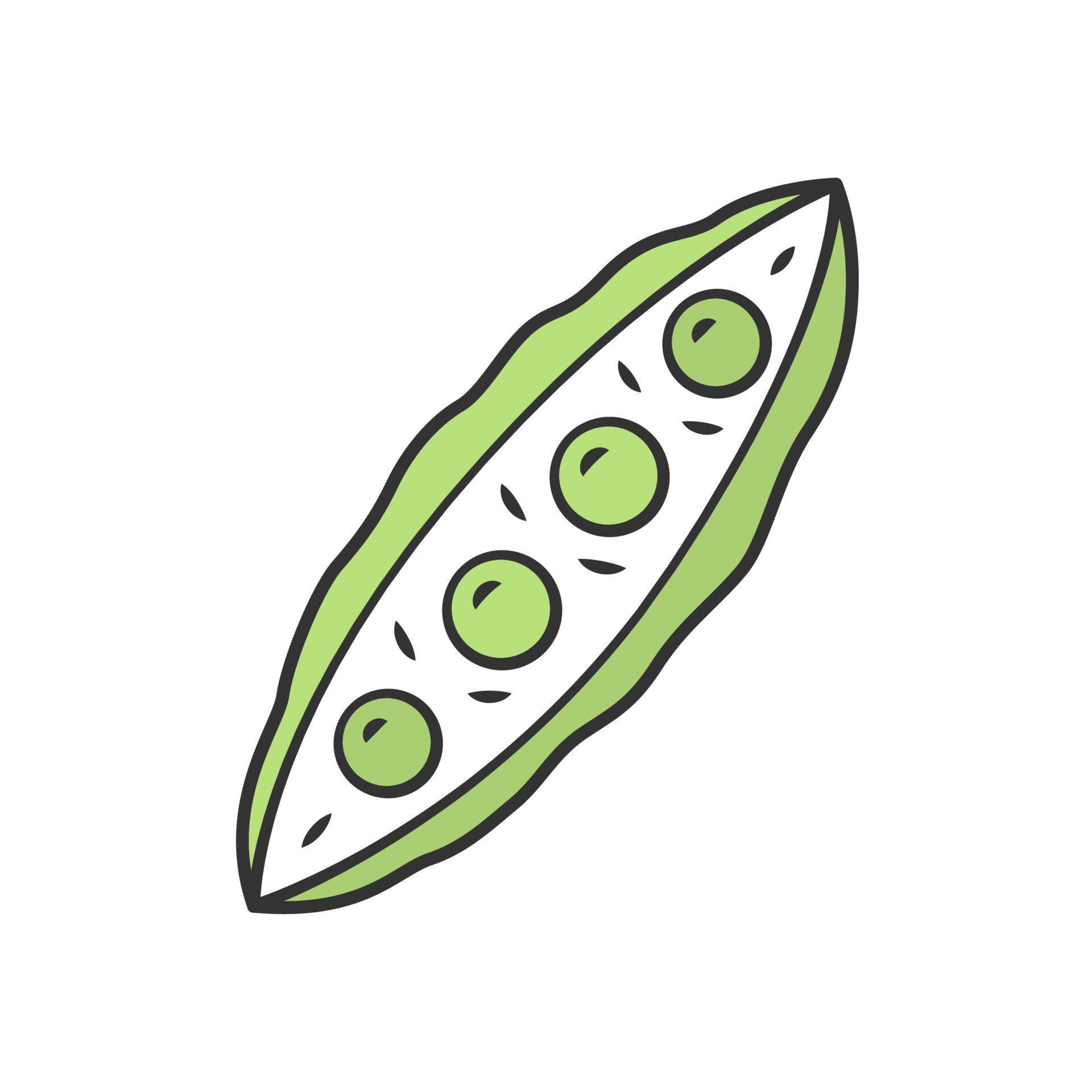 Pea pod color icon. Recipe ingredient. Healthy nutrition. Greenery ...