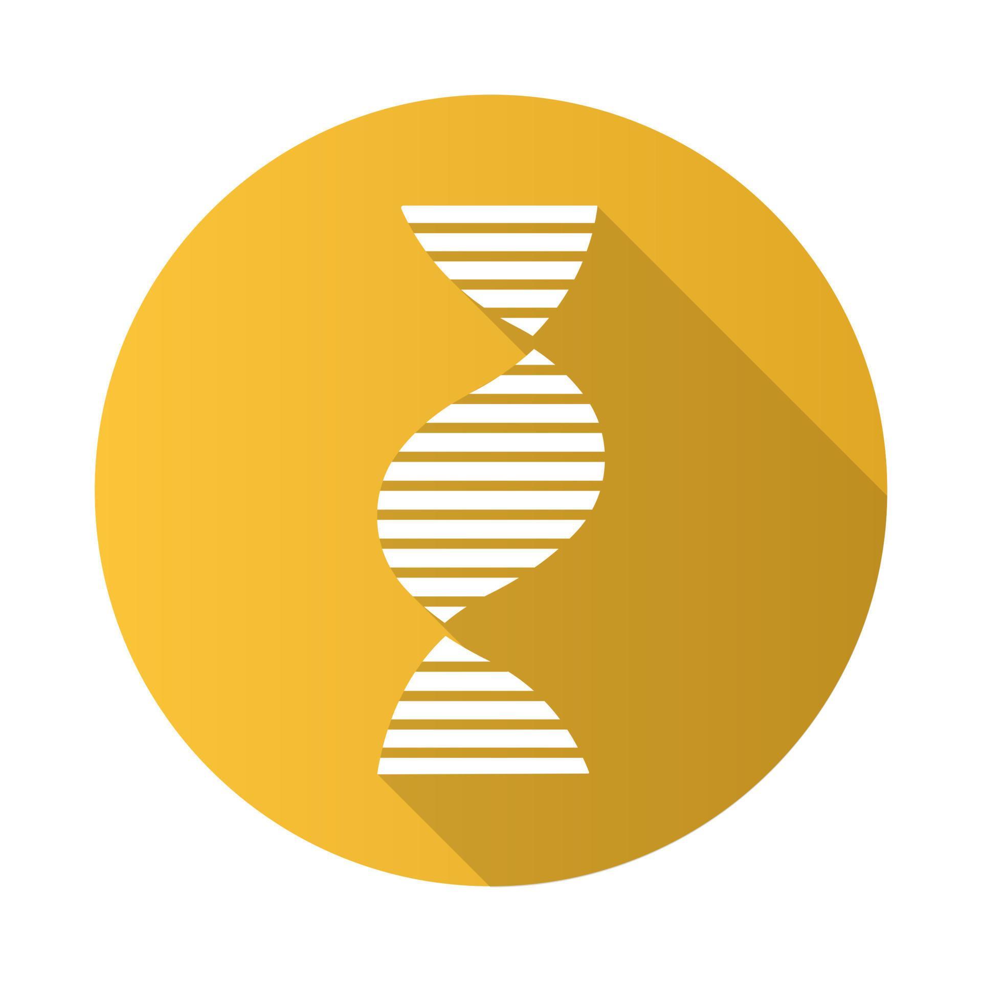 Right-handed DNA helix yellow flat design long shadow glyph icon. B-DNA ... Right-handed DNA helix yellow flat design long shadow glyph icon. B-DNA ...
