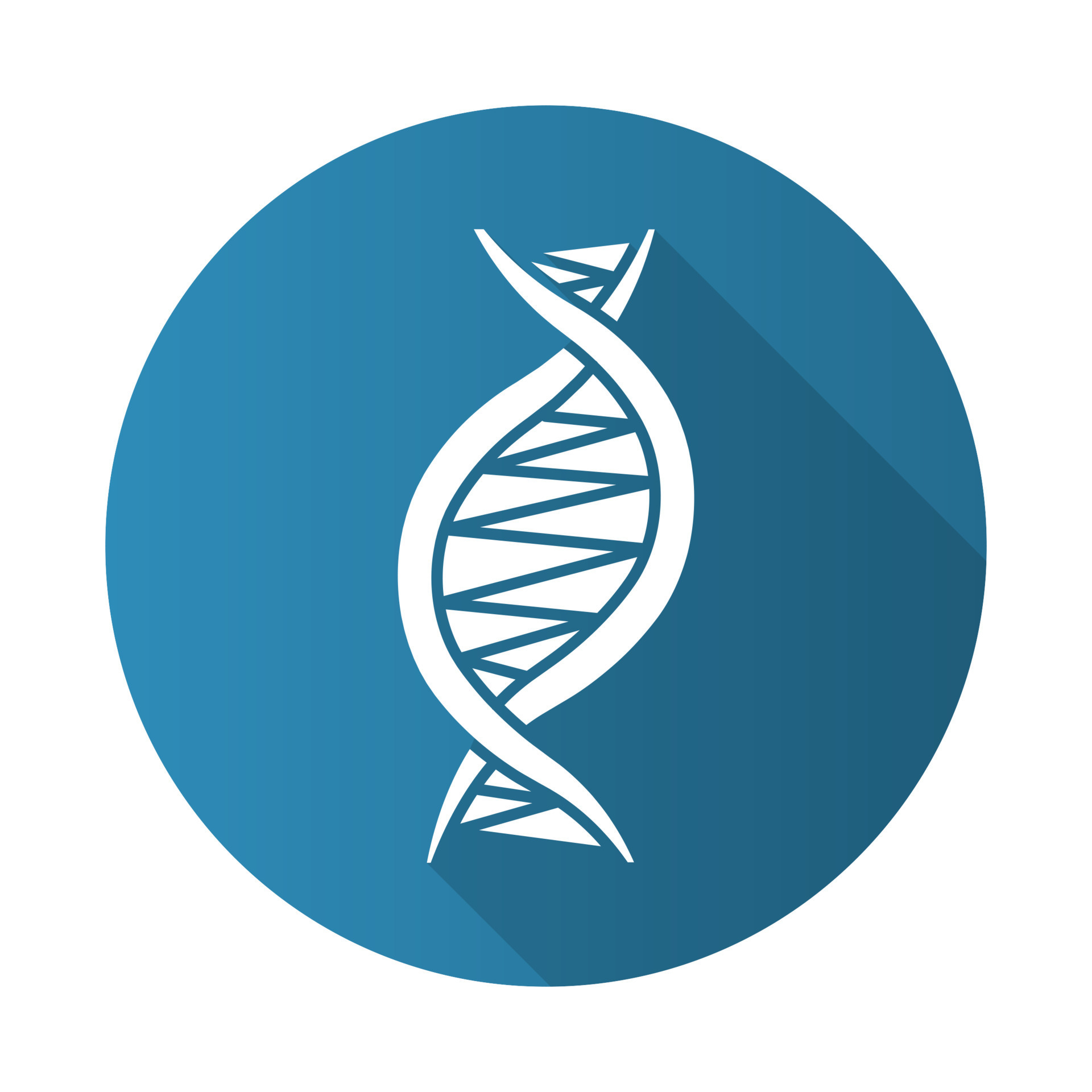 Left-handed DNA helix blue flat design long shadow glyph icon. Z-DNA ... Left-handed DNA helix blue flat design long shadow glyph icon. Z-DNA ...