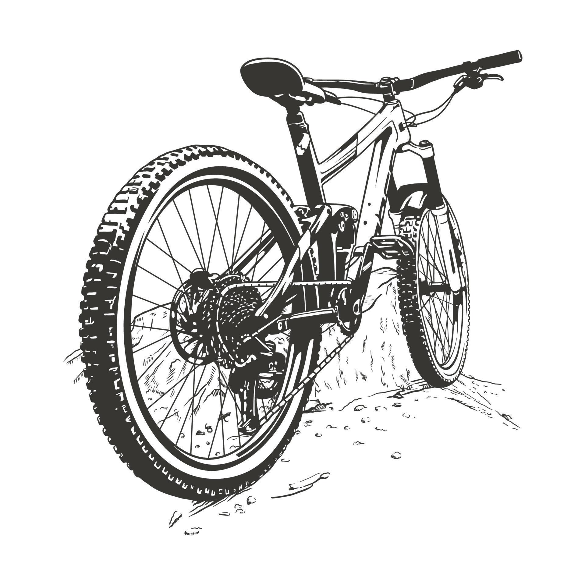 Mountain bike hand drawn vector line art illustration 7286691 Vector ... Mountain bike hand drawn vector line art illustration 7286691 Vector ...