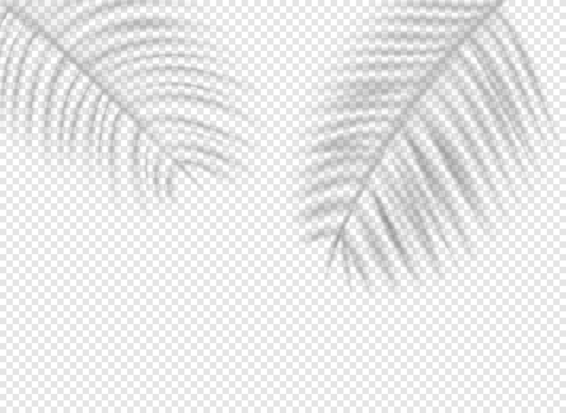 Palm leaves shadows on transparent background. Shadow overlay effect ... Palm leaves shadows on transparent background. Shadow overlay effect ...