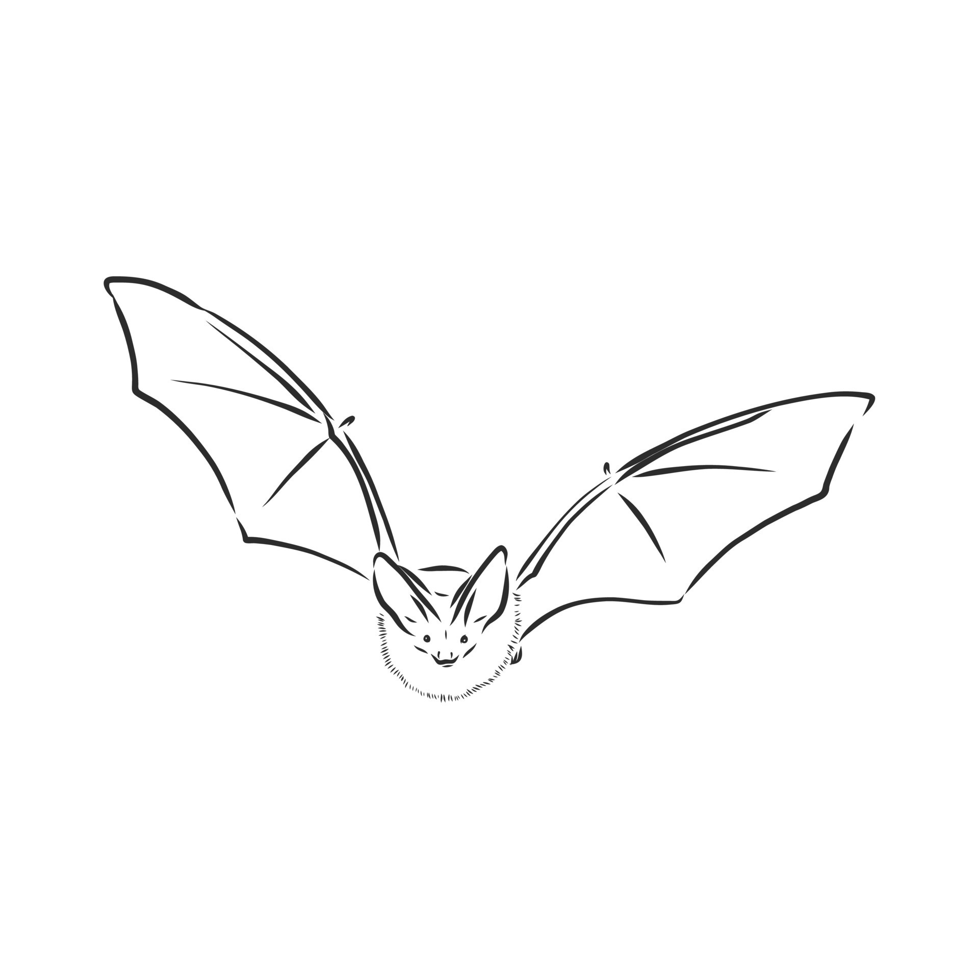 bat vector sketch 7310045 Vector Art at Vecteezy
