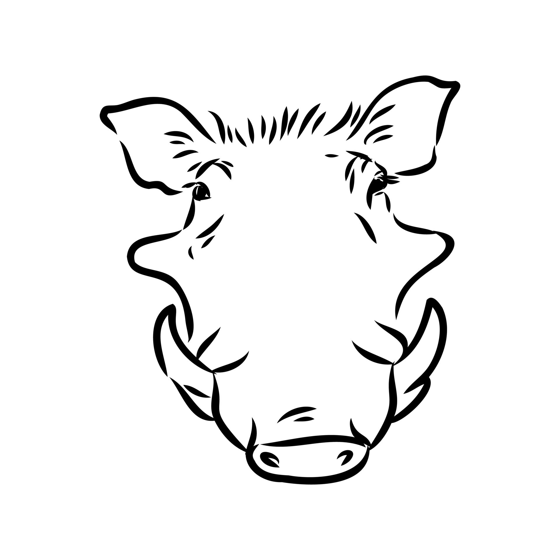 warthog vector sketch 7310135 Vector Art at Vecteezy warthog vector sketch 7310135 Vector Art at Vecteezy