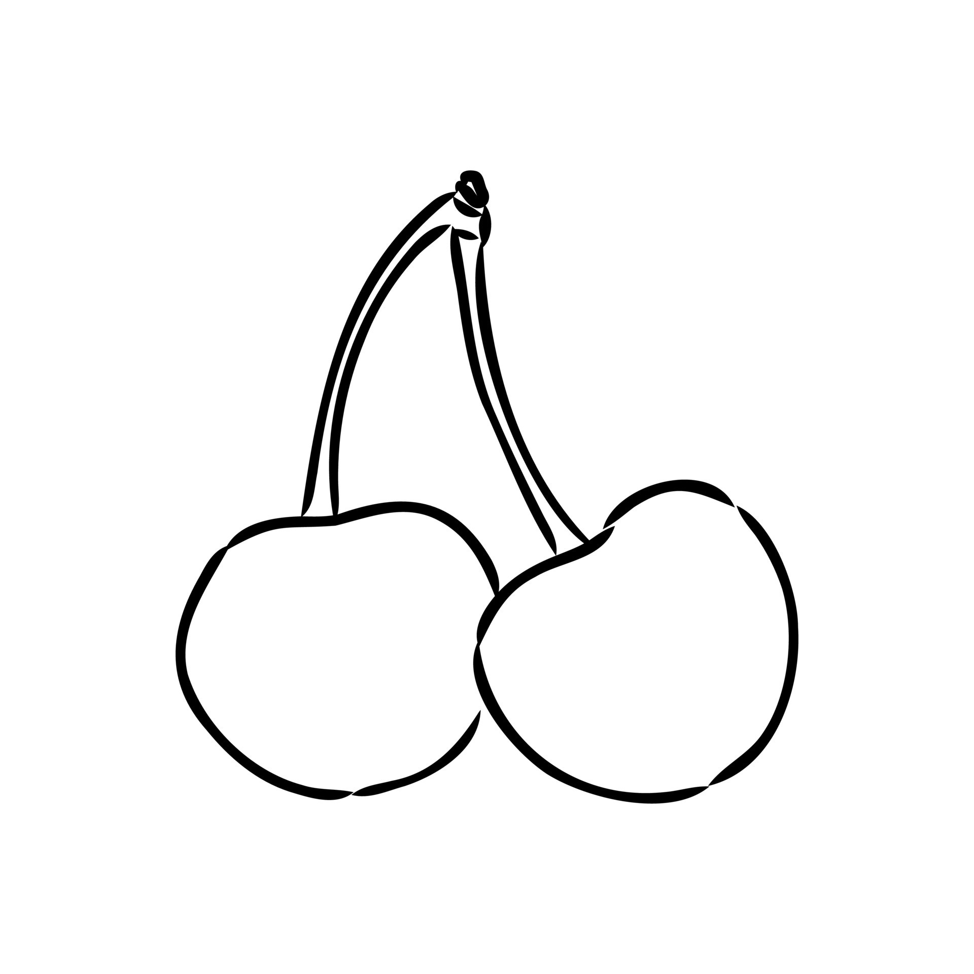 cherry vector sketch 7310177 Vector Art at Vecteezy