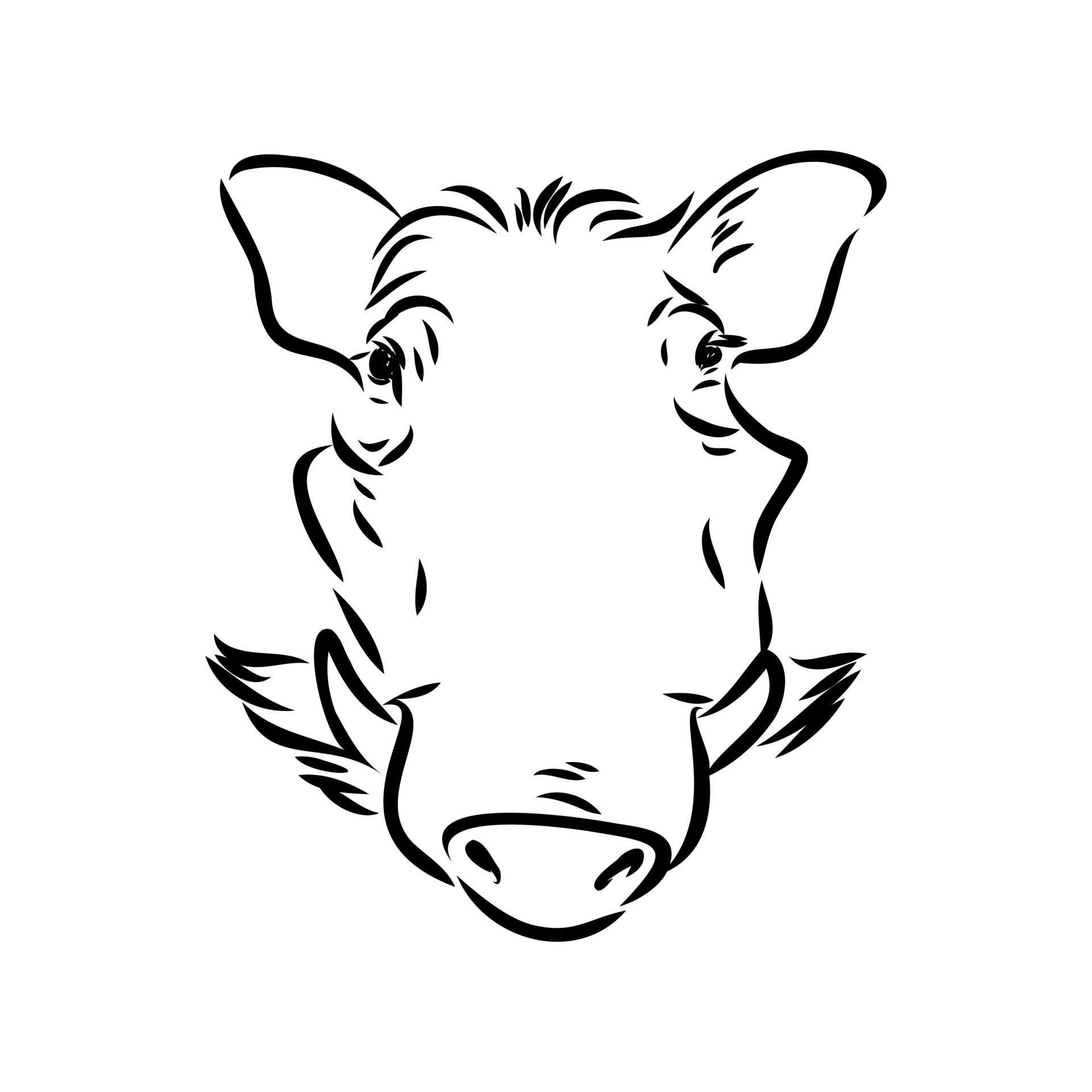 warthog vector sketch 7310389 Vector Art at Vecteezy warthog vector sketch 7310389 Vector Art at Vecteezy