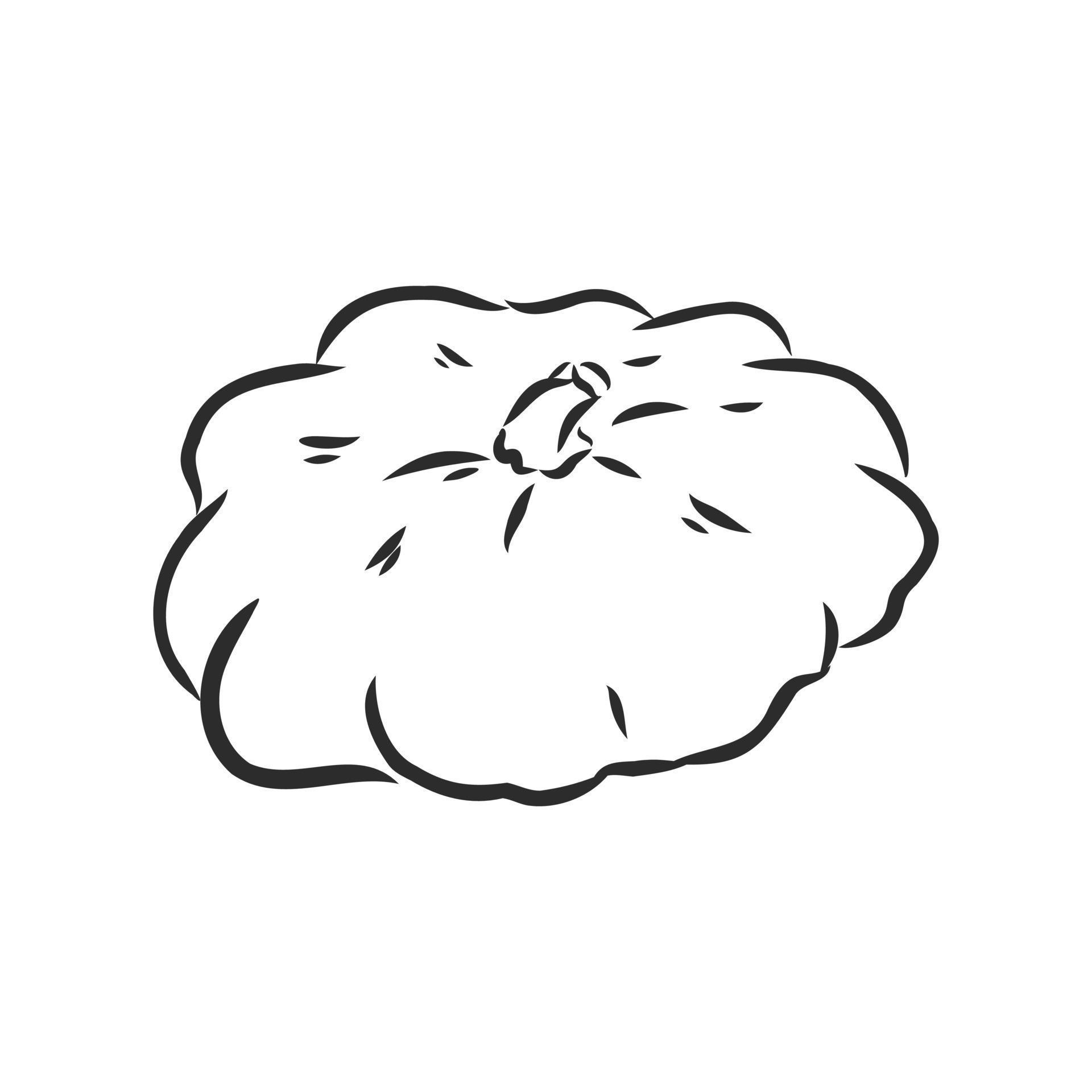 patisson vector sketch 7310537 Vector Art at Vecteezy