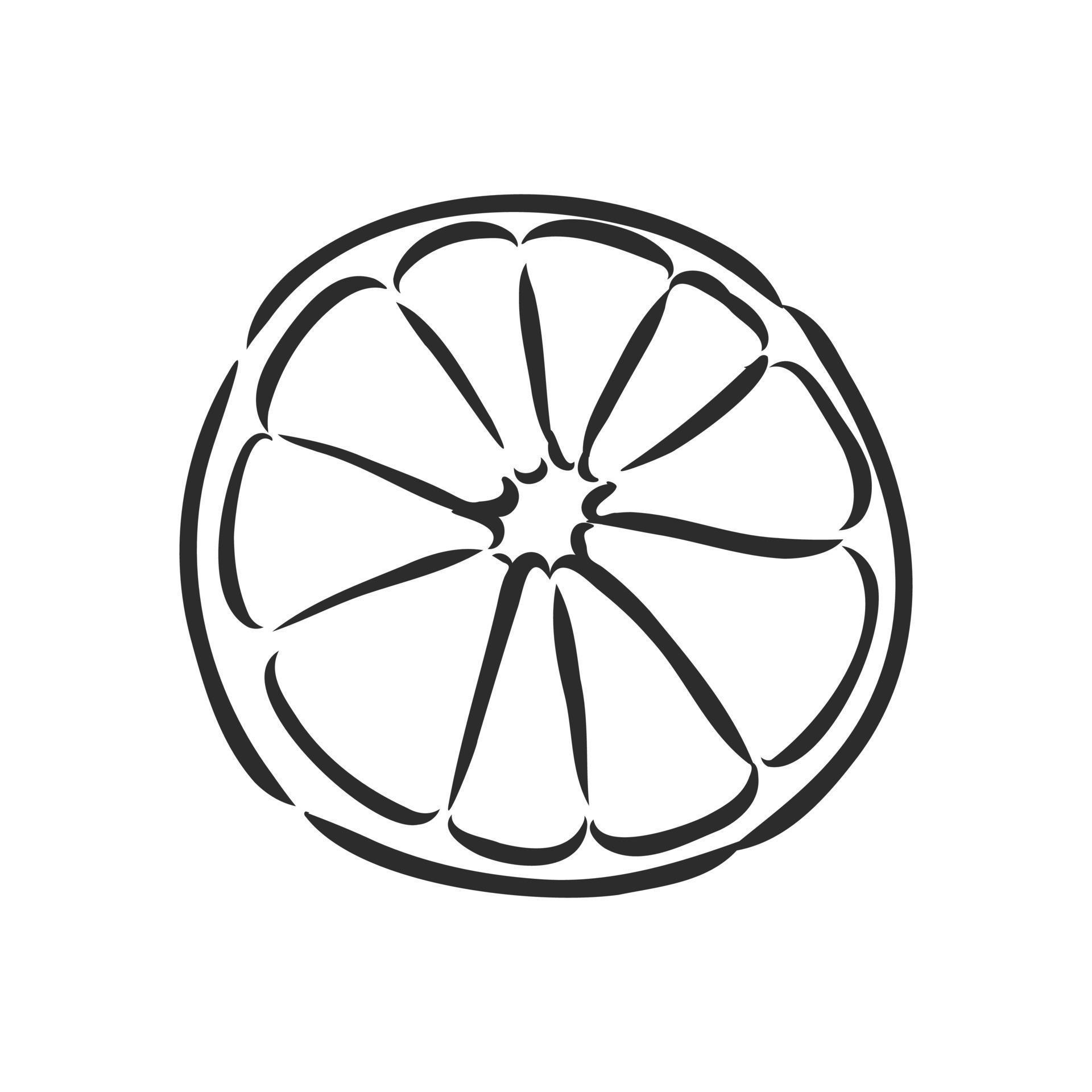 lemon vector sketch 7310545 Vector Art at Vecteezy