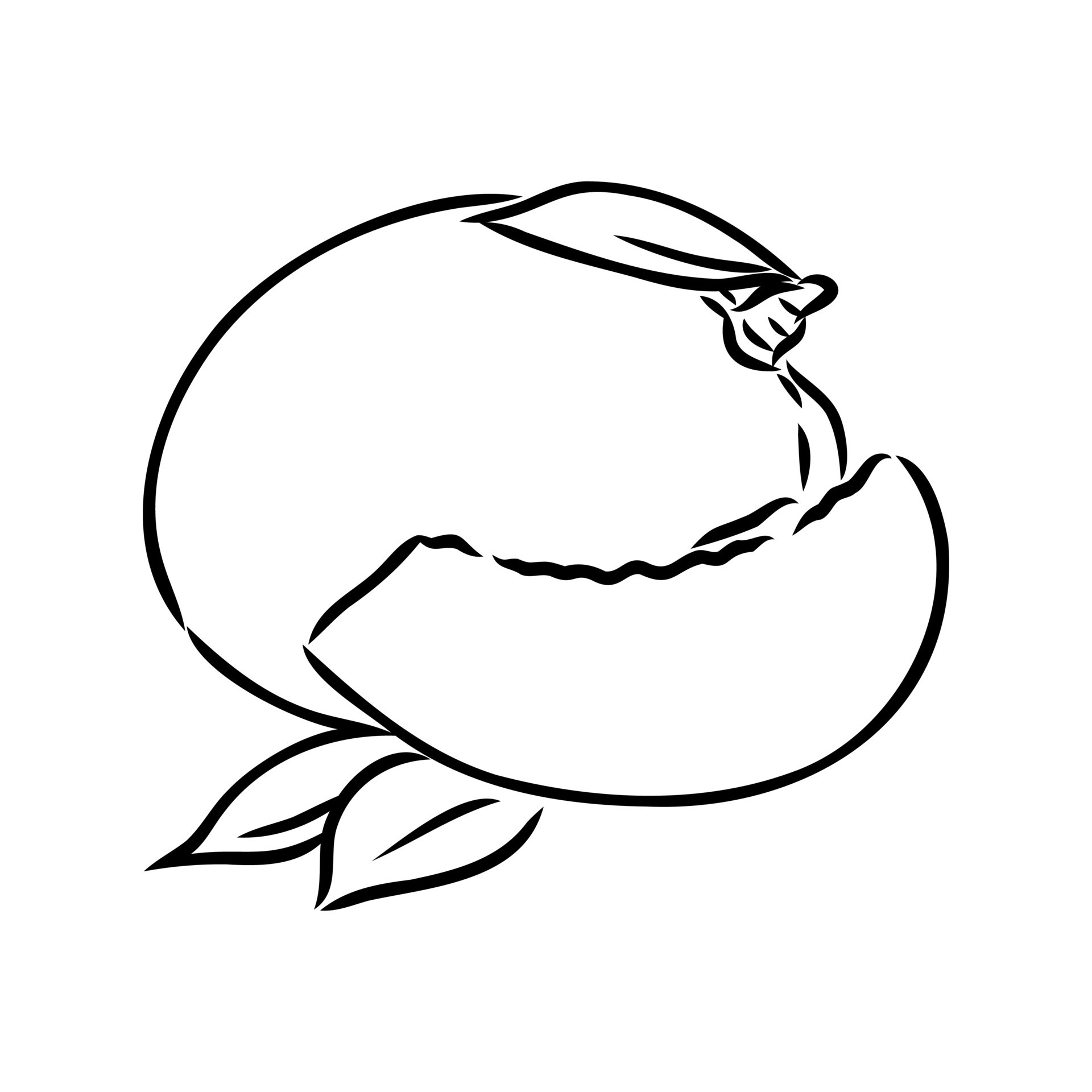 mango vector sketch 7310785 Vector Art at Vecteezy