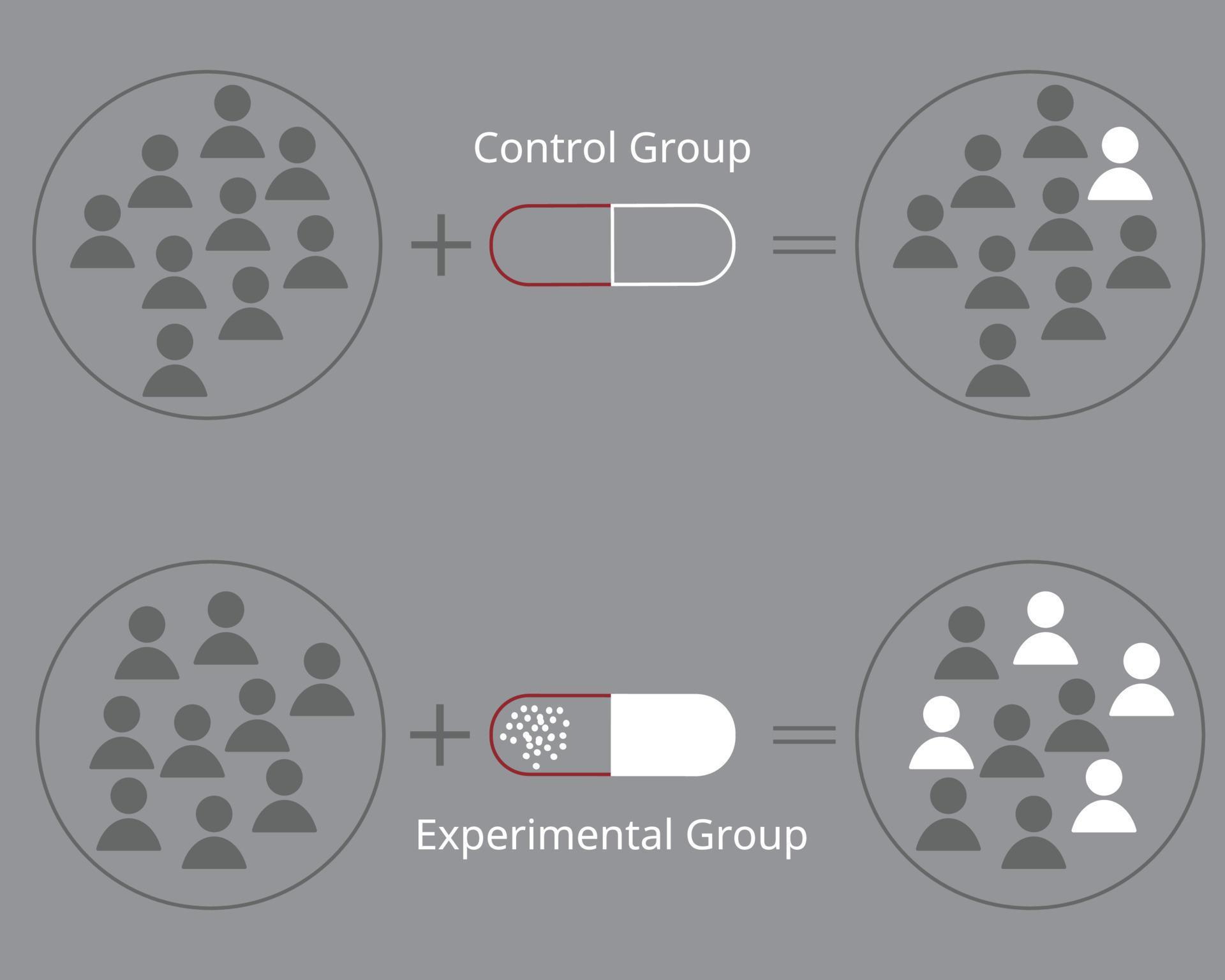 different between randomized control group and experimental group in ...