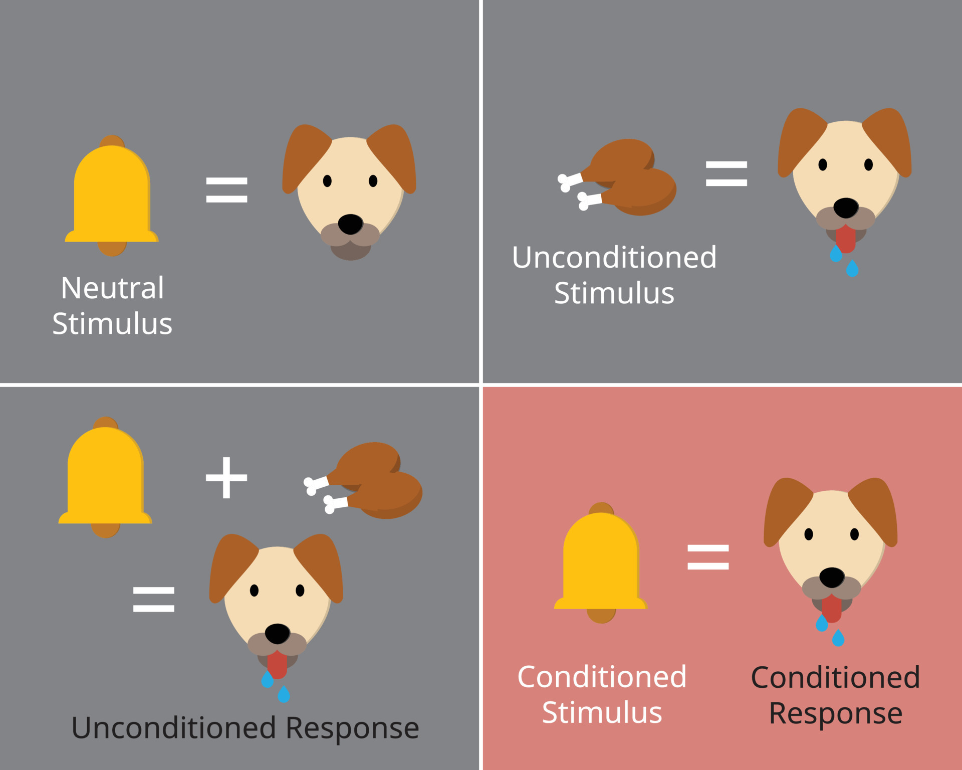 Classical Conditioning Diagram