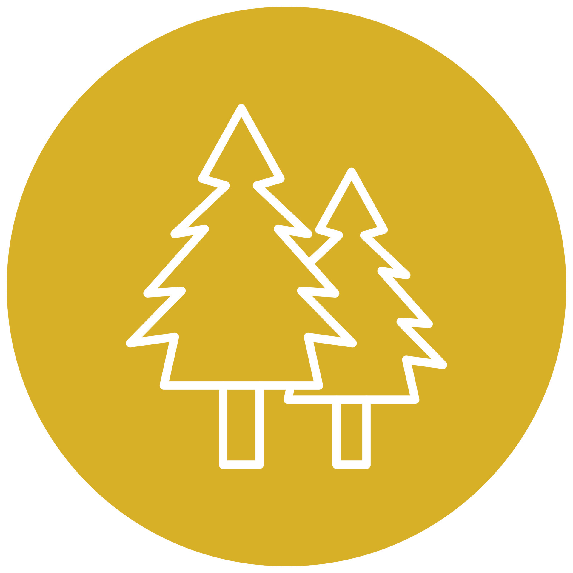 Pine Tree Icon Style 7437655 Vector Art at Vecteezy
