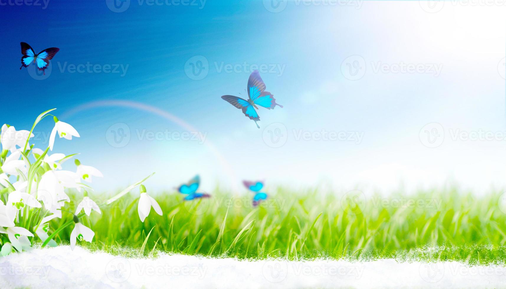 Lots of snowdrops in the first days of spring with butterfly 7448857 Stock Photo at Vecteezy