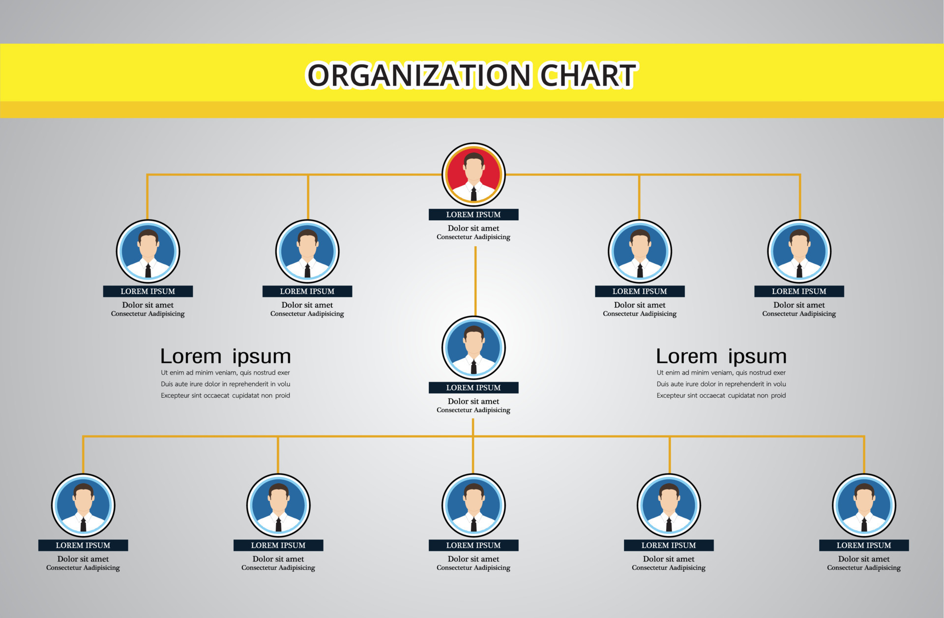 Company Organization Chart Design