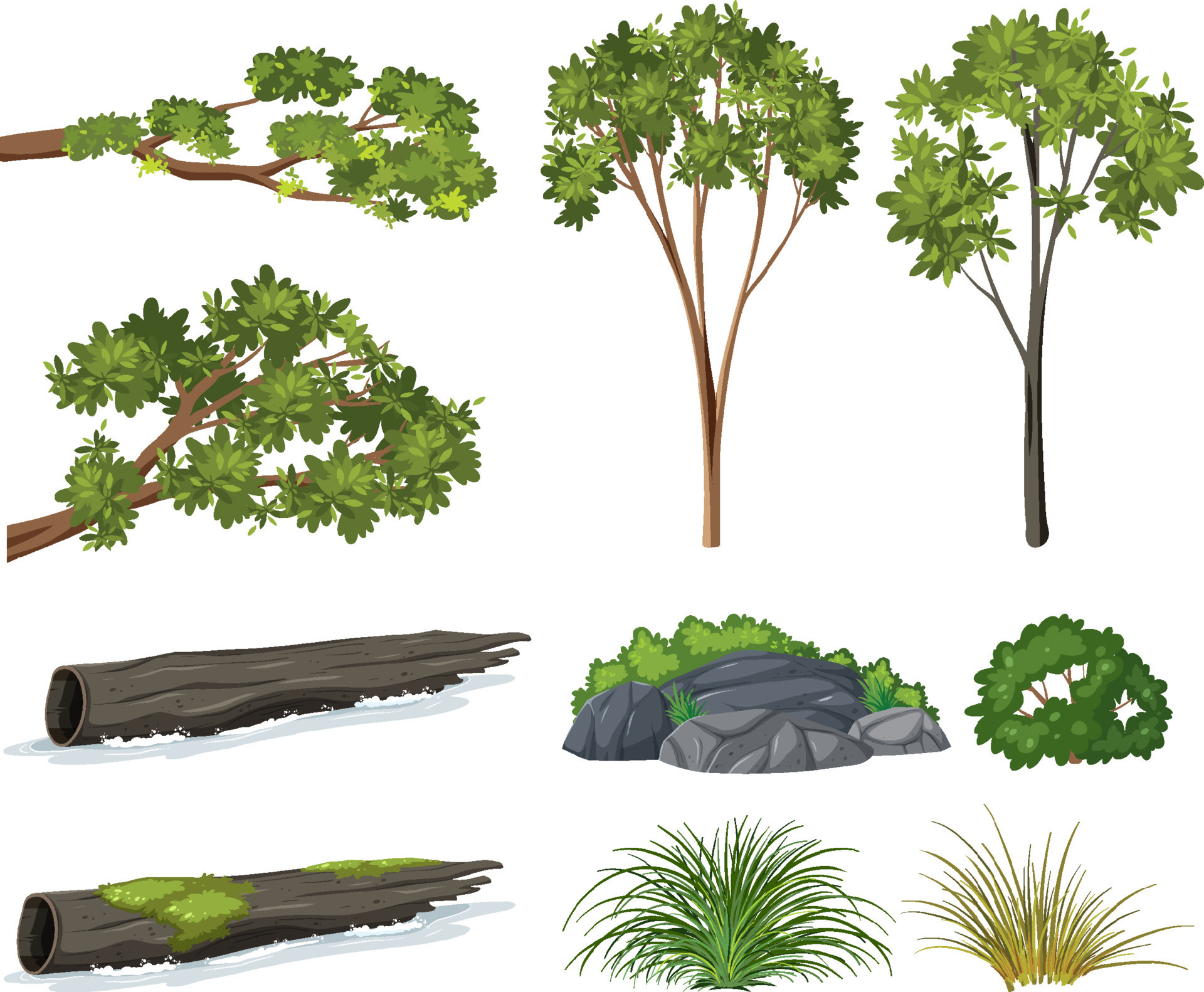 Tree Vector Art, Icons, and Graphics for Free Download