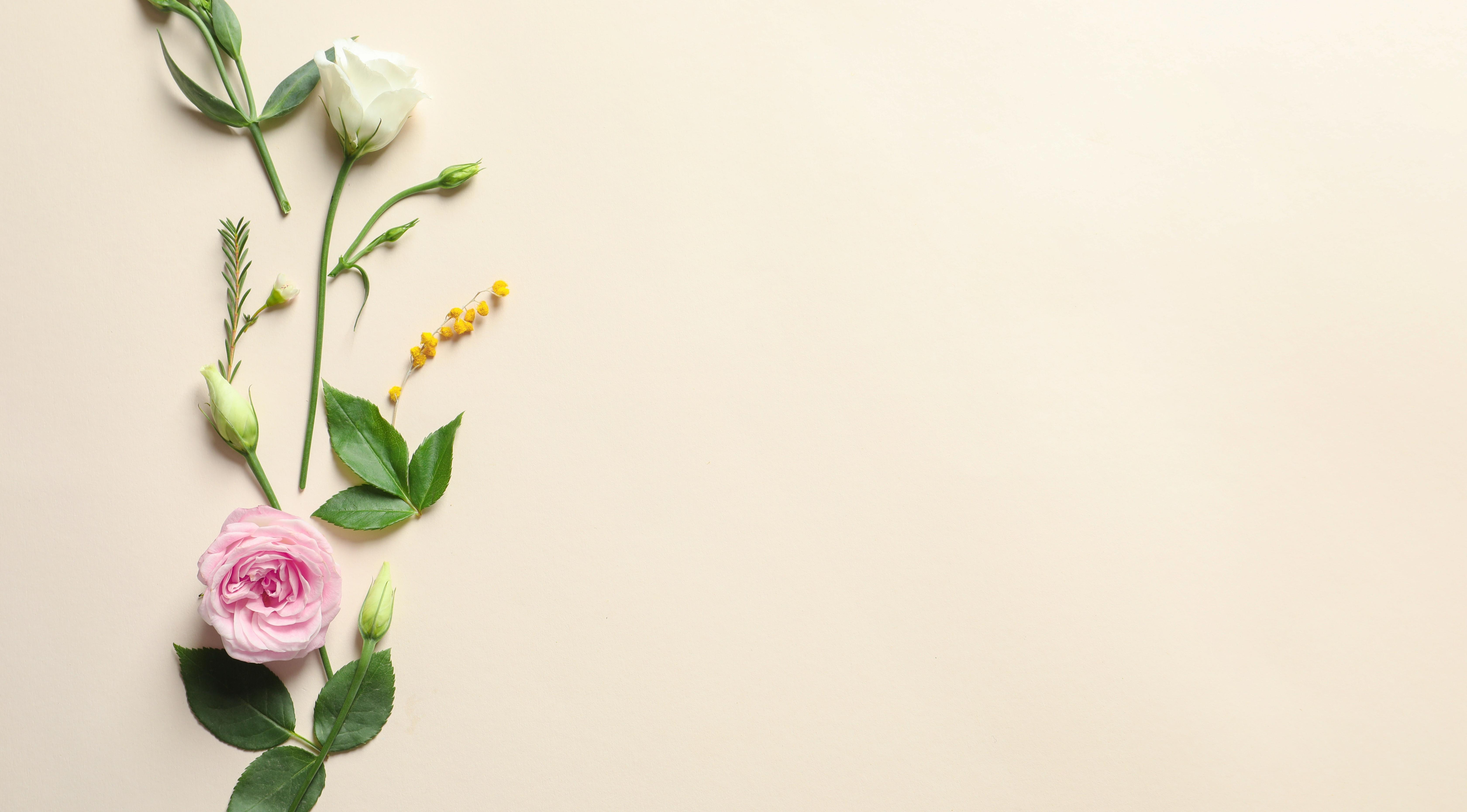 Pattern Stock Photos, Images and Backgrounds for Free Download