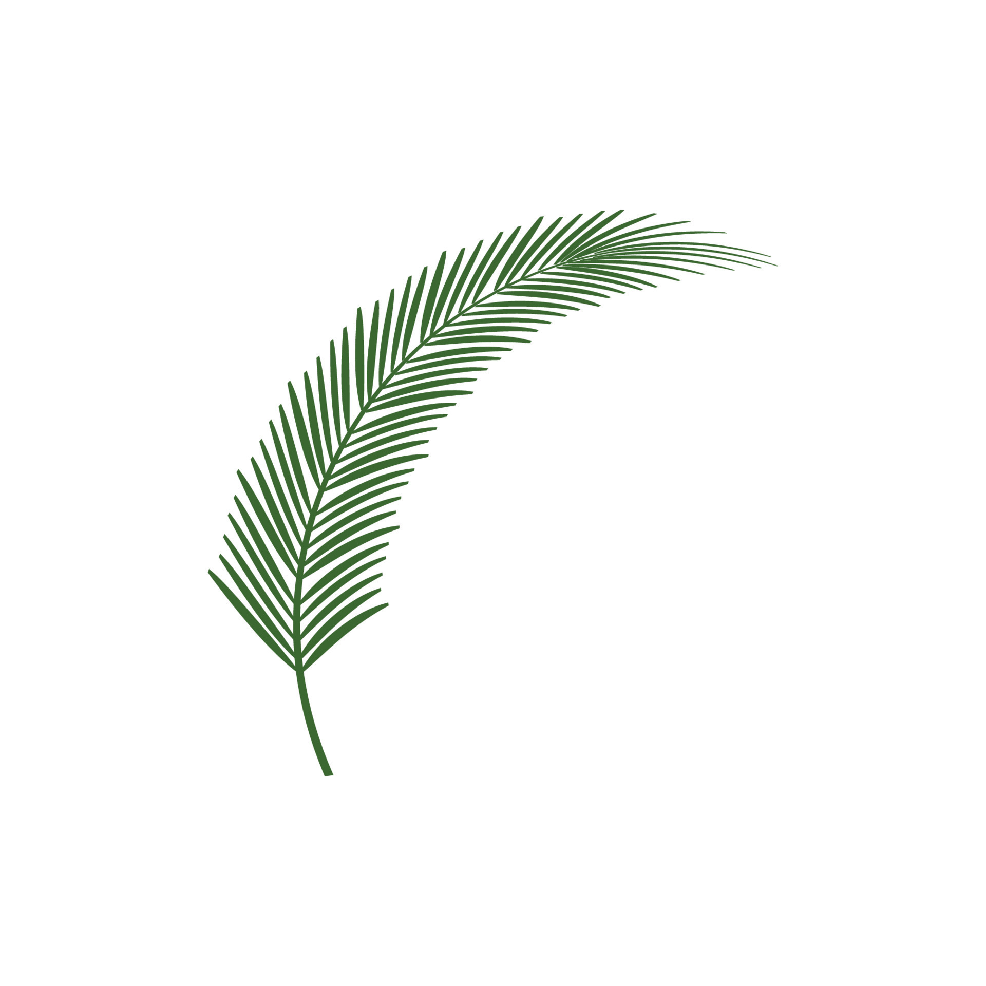 Palm Leaf Logo Icon Design Template Vector 7635367 Vector Art At Vecteezy Palm Leaf Logo Icon Design Template Vector 7635367 Vector Art At Vecteezy