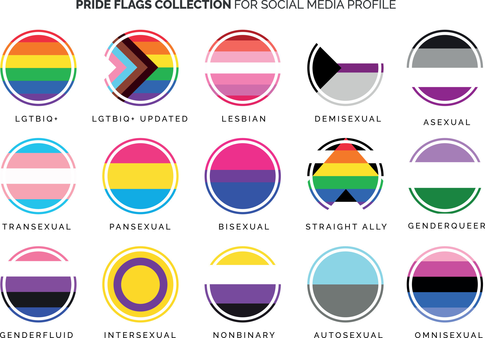 Pride flags collection for social media profile 7660897 Vector Art at ...