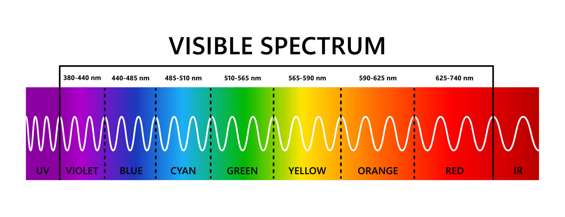 Visible light spectrum, infared and ultraviolet. Optical light ... Visible light spectrum, infared and ultraviolet. Optical light ...