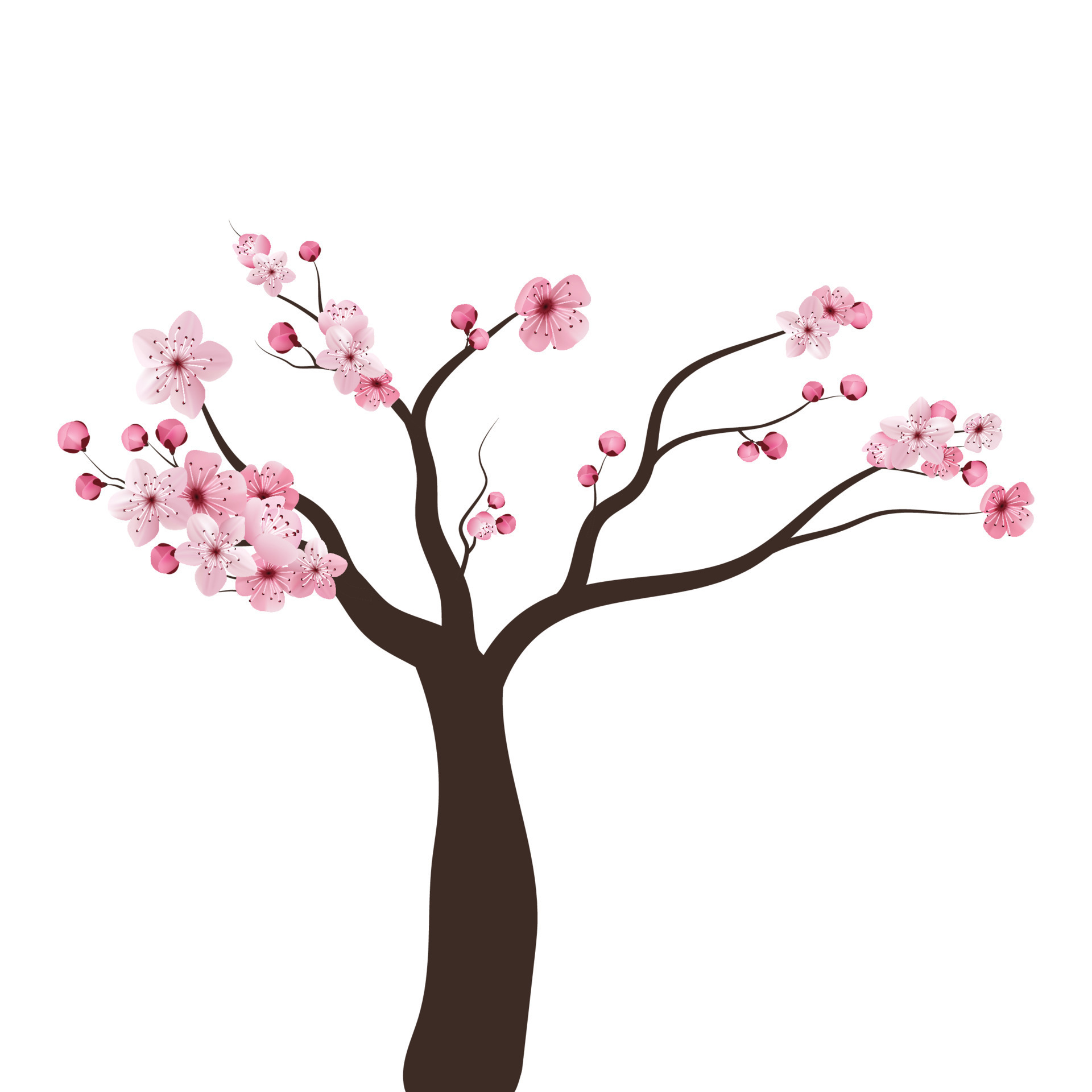 Spring Tree Clip Art Black And White