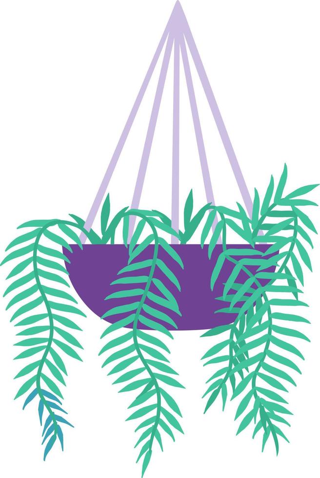 indoor plant hanging 7738874 Vector Art at Vecteezy