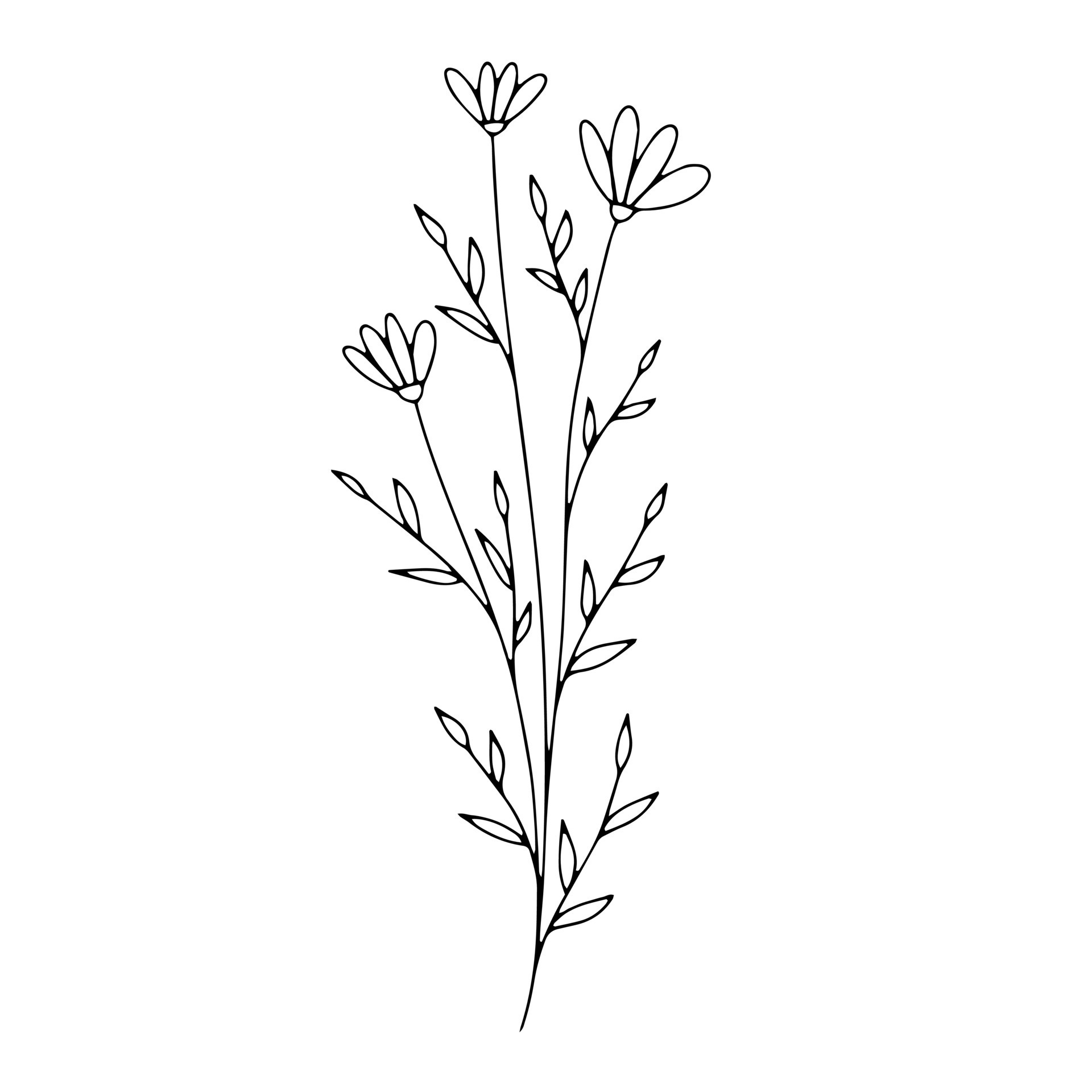 Botanical line art floral leaves, plant. Hand drawn sketch branch ... Botanical line art floral leaves, plant. Hand drawn sketch branch ...