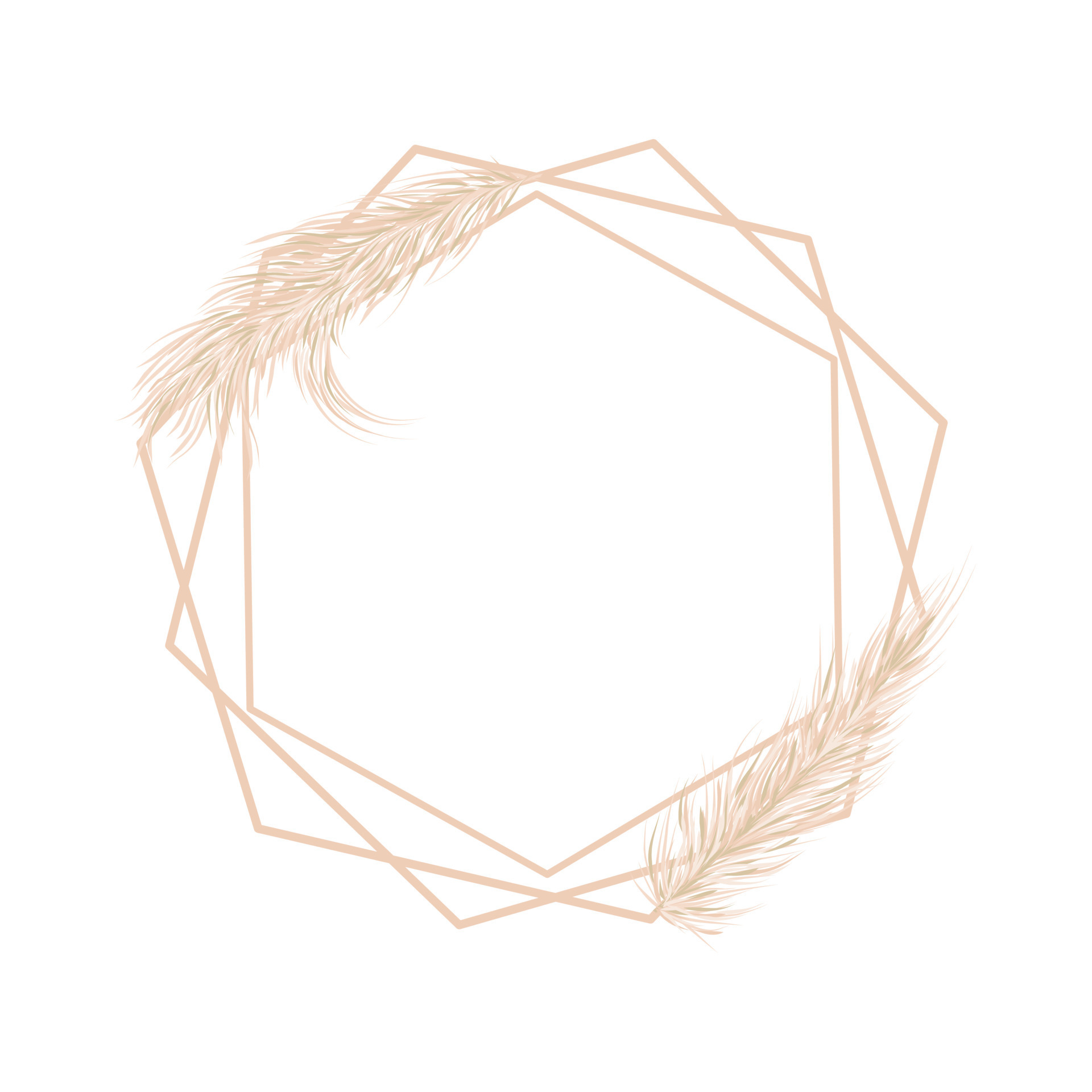 Dry Pampas Grass Soft Frame For Wedding Invitations Or Postcards