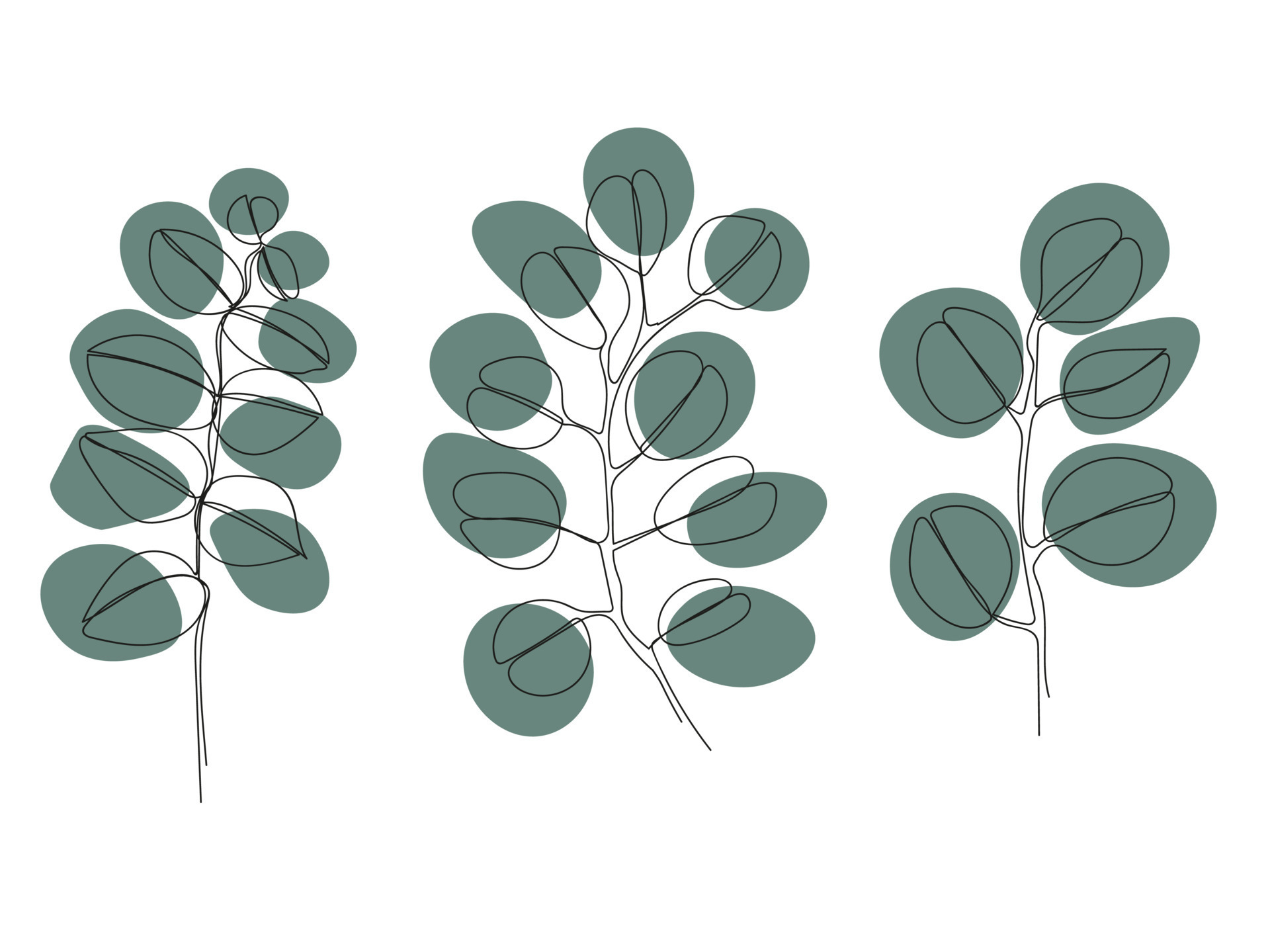 vector eucalyptus set 7794310 Vector Art at Vecteezy