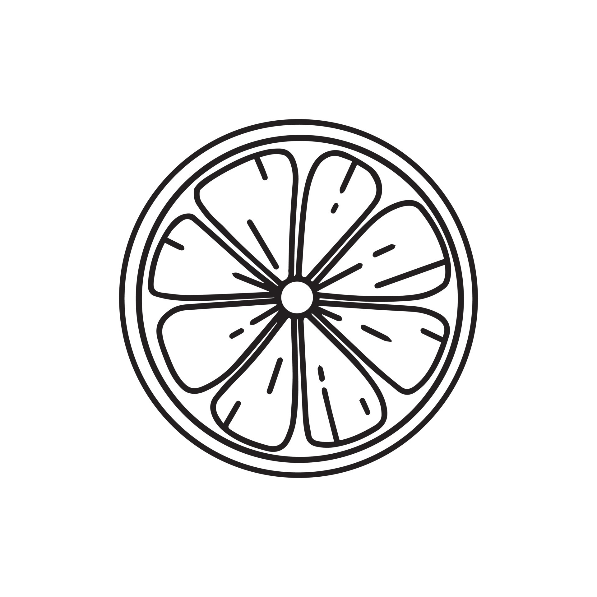 Half a lemon. Doodle style. Vector illustration. Half lime. Lemon slice ... Half a lemon. Doodle style. Vector illustration. Half lime. Lemon slice ...