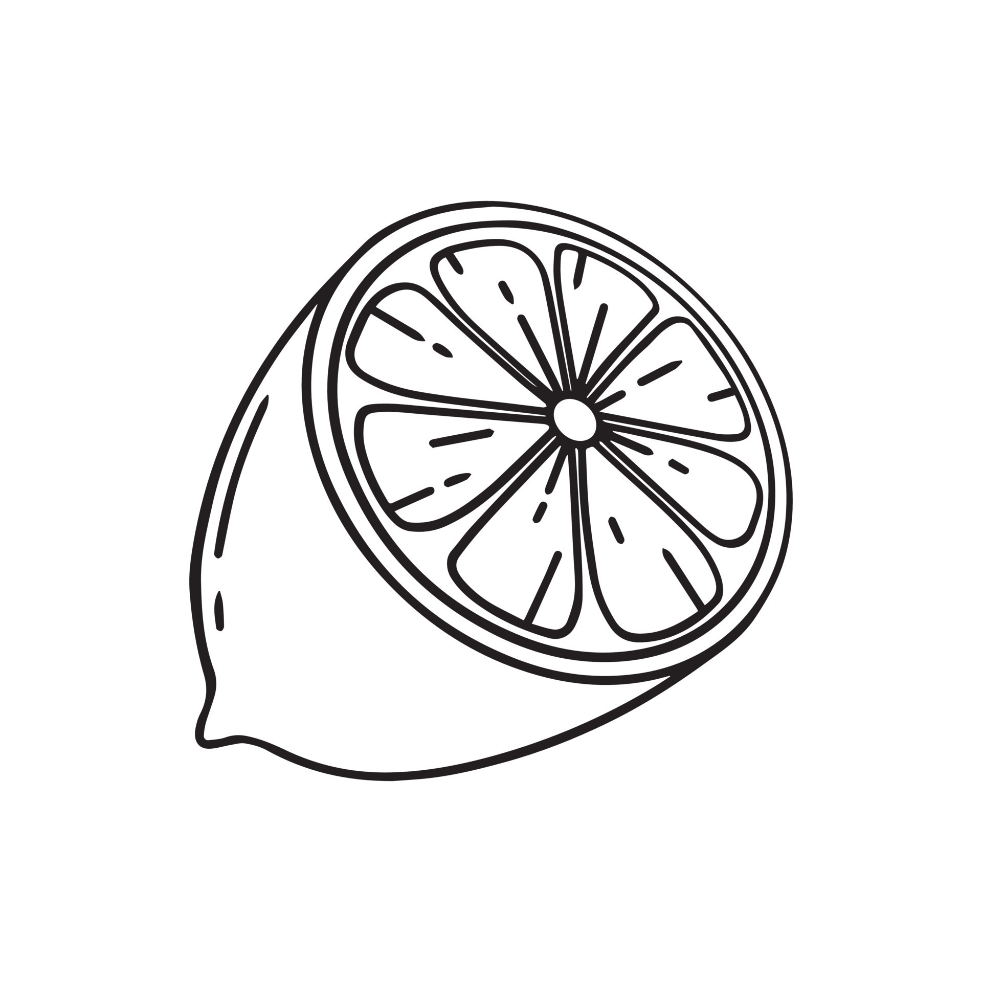 Half a lemon. Doodle style. Vector illustration. Half lime. Lemon slice ... Half a lemon. Doodle style. Vector illustration. Half lime. Lemon slice ...