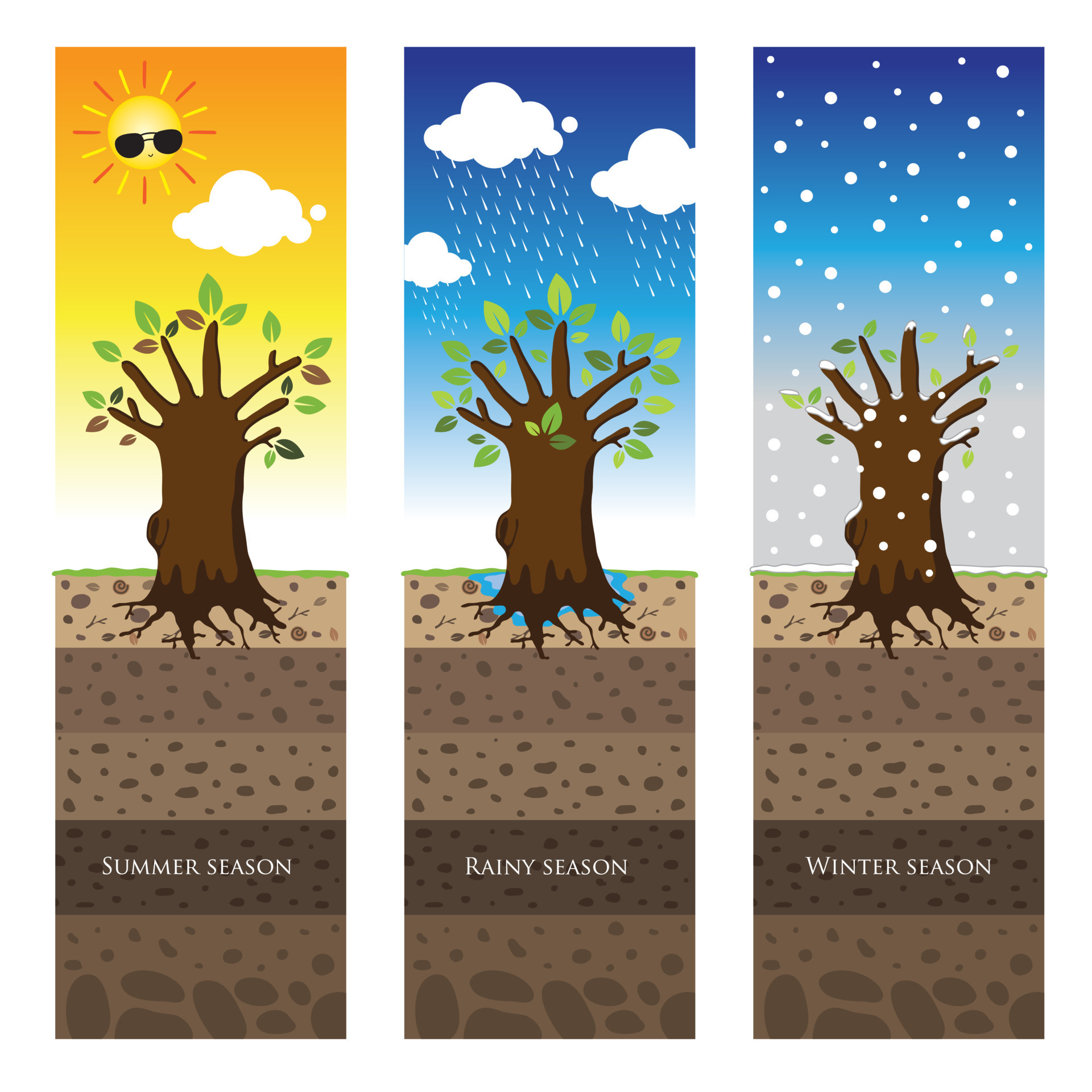 Summer Winter Season