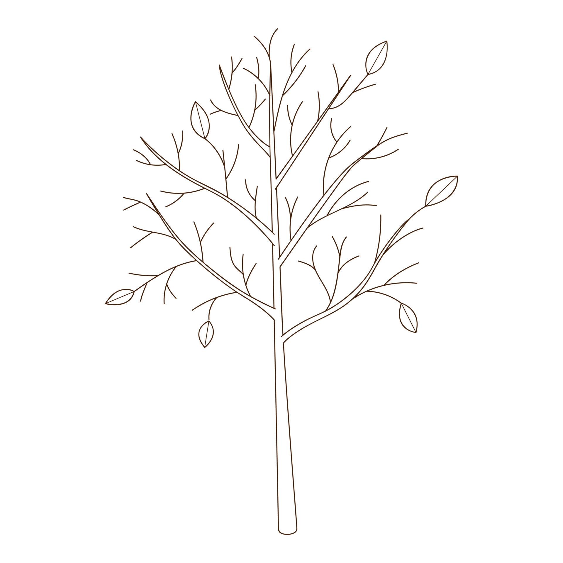 Un árbol Desnudo Con Hojas Caídas Botánico Elemento De Diseño Vegetal Con Contorno Garabato