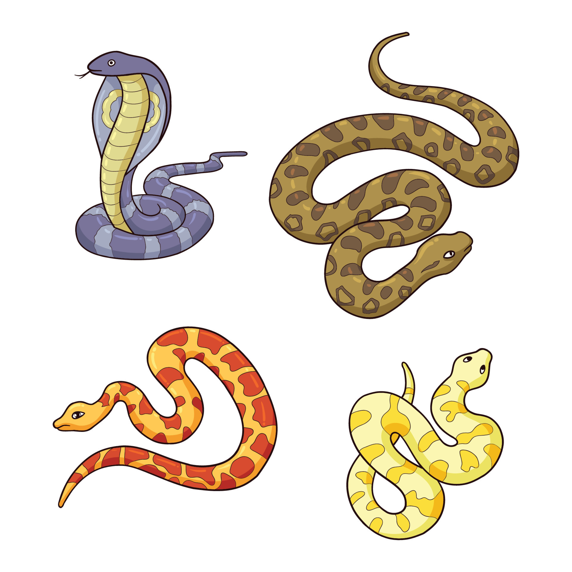 hand drawn snake collection 2 7949313 Vector Art at Vecteezy