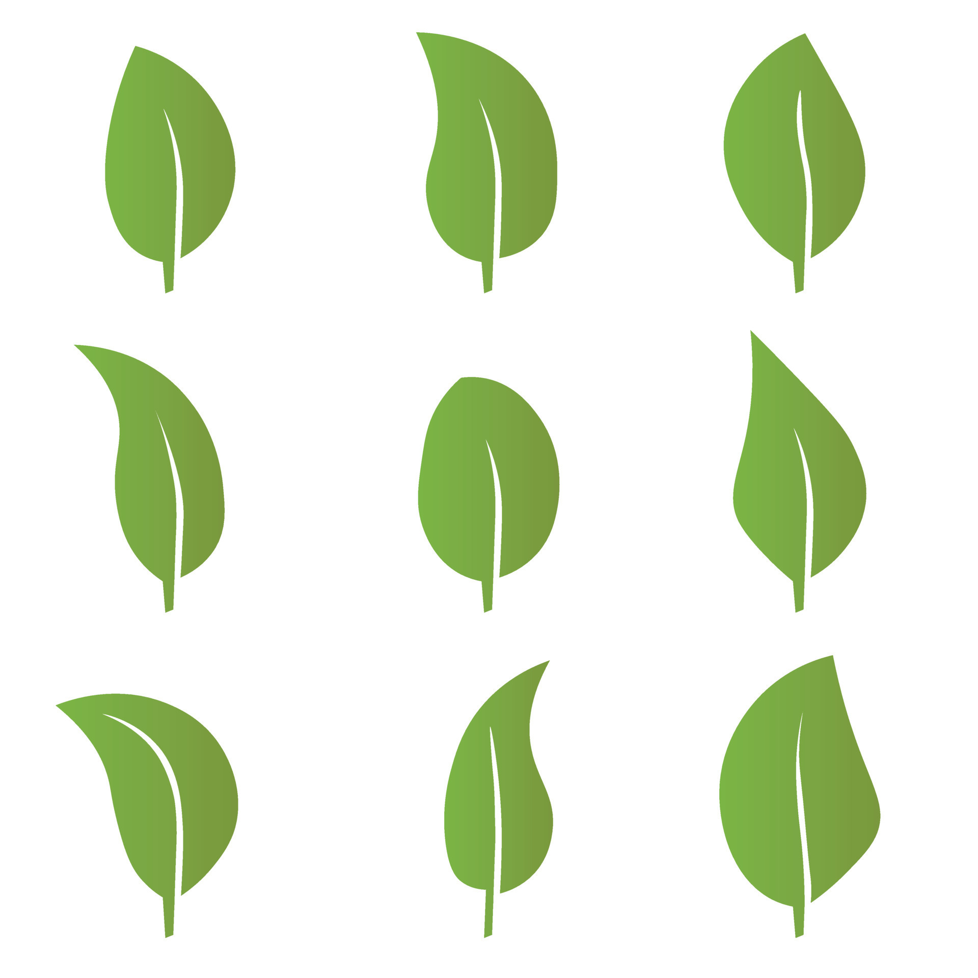 Eco green color leaf vector logo flat icon set. Isolated leaves shapes ...