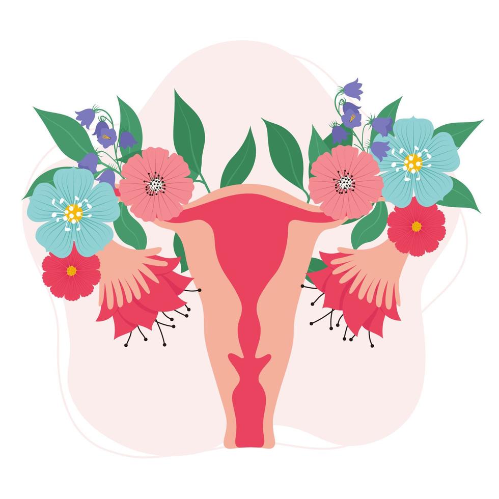 Female Reproductive System With Flowers Uterus Womb Female