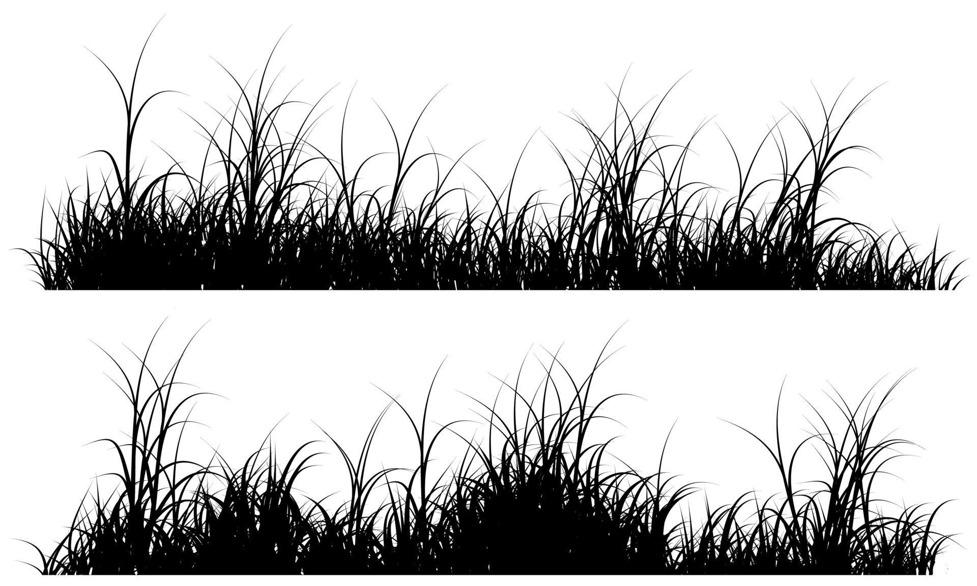 Tall Grass Grass Silhouette 8076350 Vector Art At Vecteezy