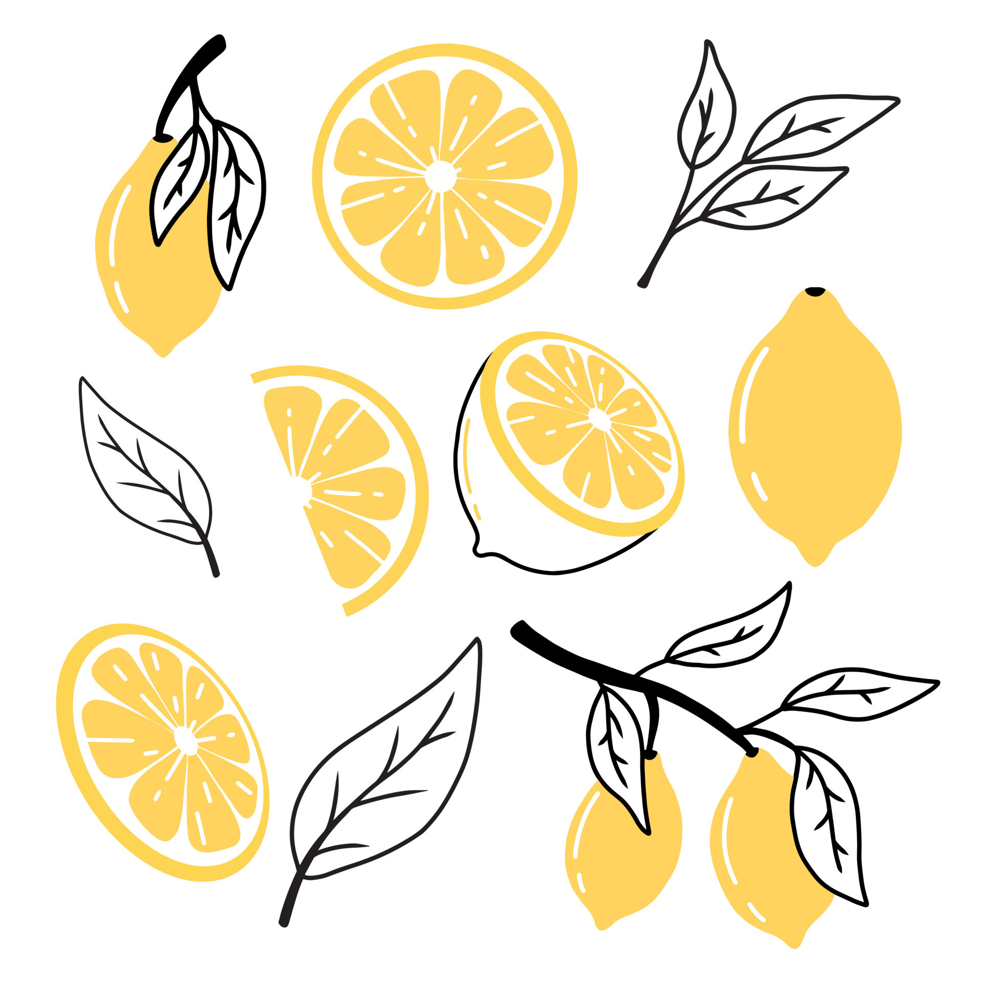 Set of lemons in doodle style. Collection of lemons on a branch, a slice of a lemon, half a ...