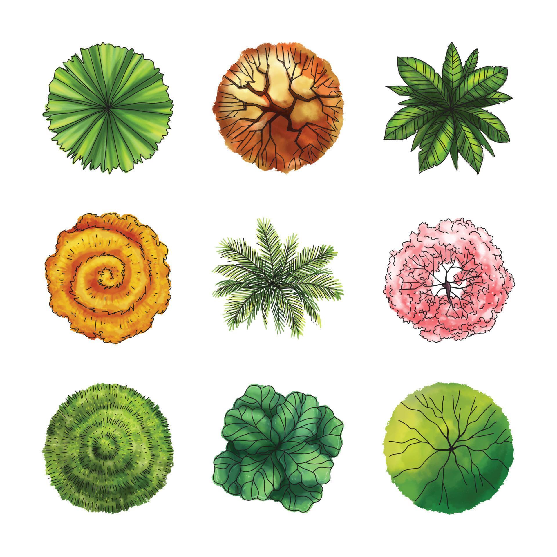 Full Color Architechture Tree Plan Top View Set with Outlines 8084147 ...