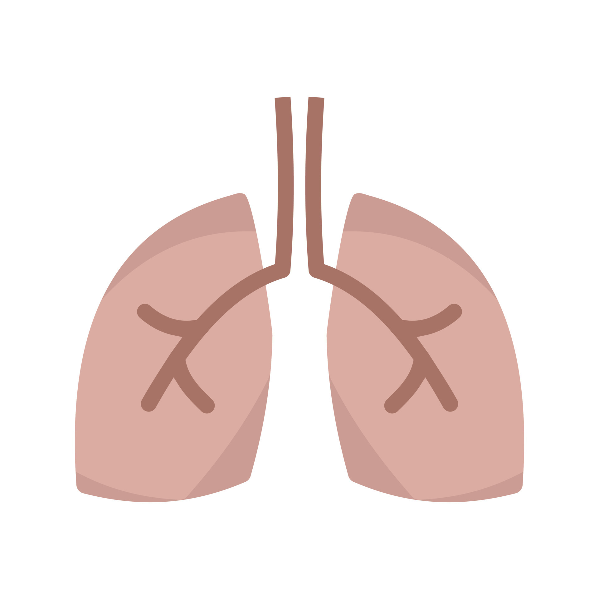Lungs Line Icon 8111672 Vector Art At Vecteezy